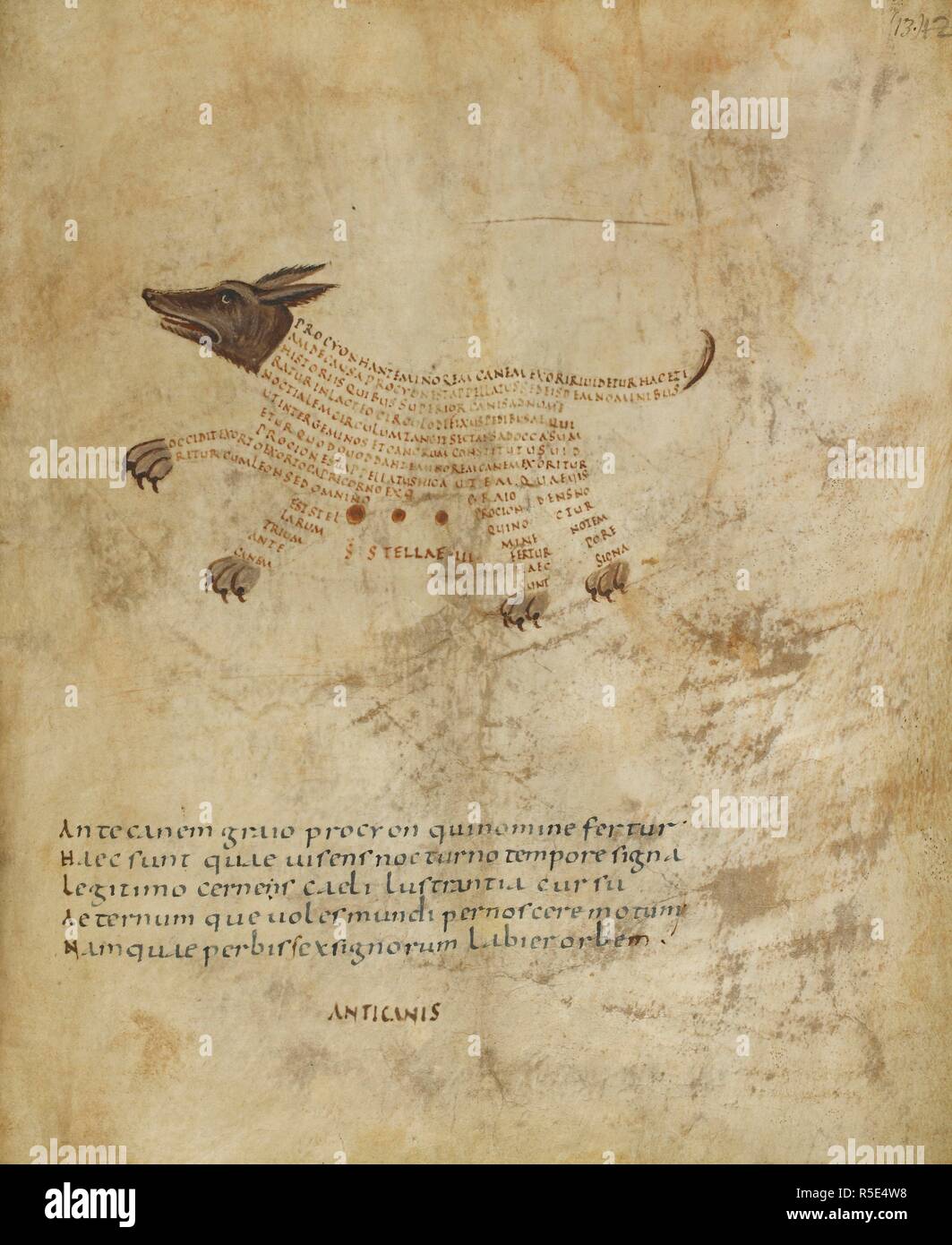 Illustration of Anticanis. Aratea, with extracts from Hyginus's ...