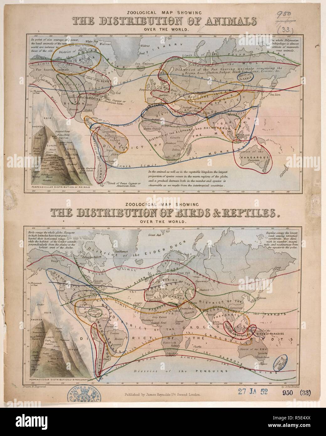 Above, a zoological Map, showing the distribution of animals over the ...