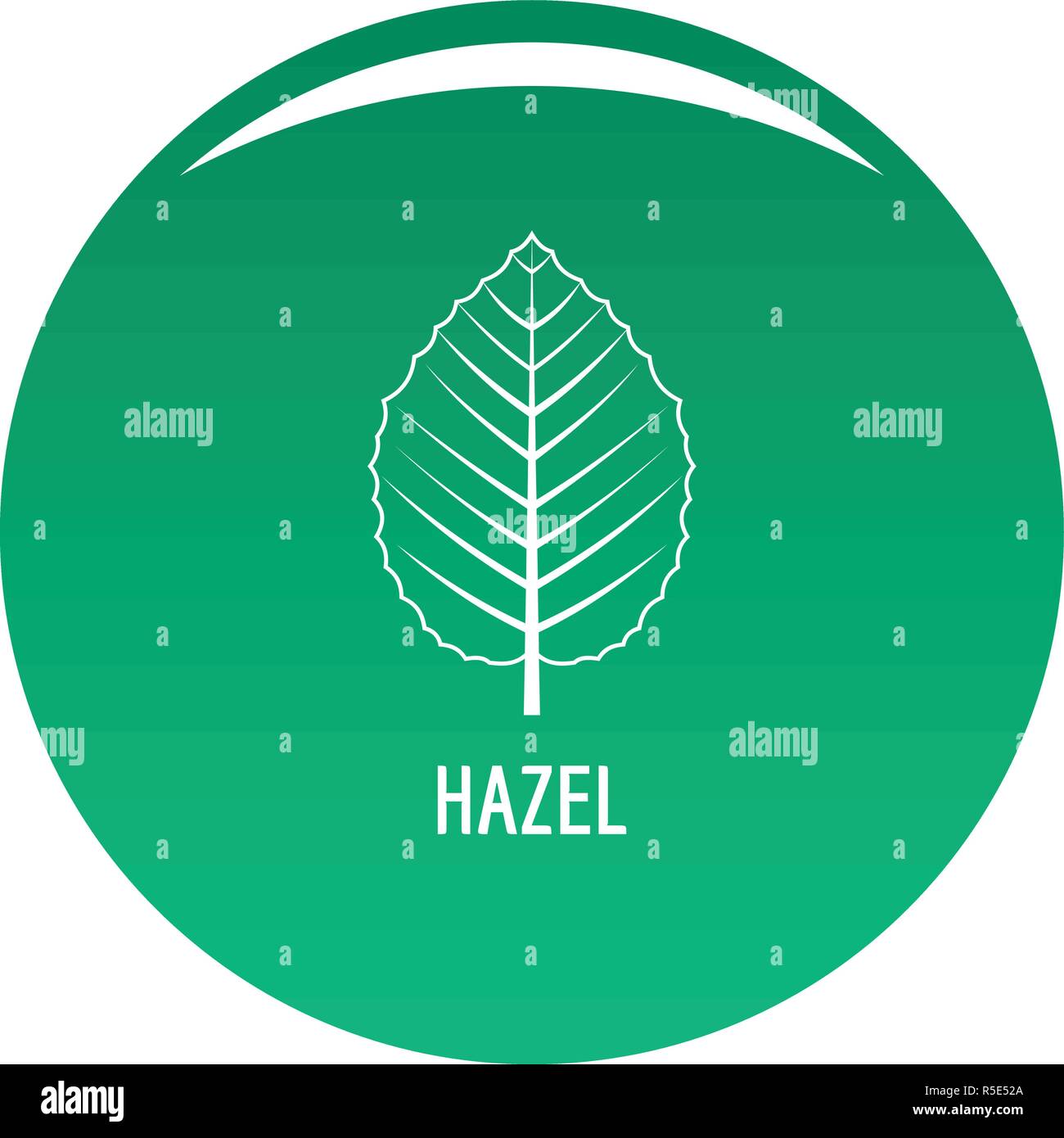 Hazel structure Stock Vector Images - Alamy