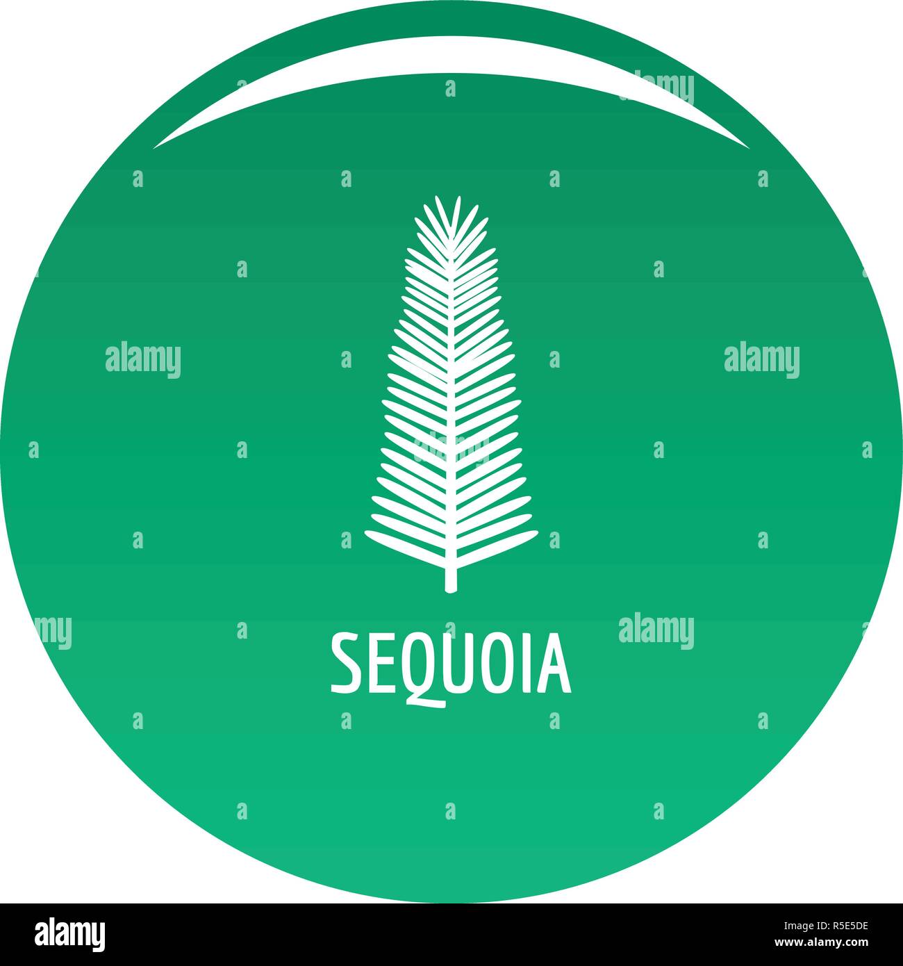 Sequoia leaf icon. Simple illustration of sequoia leaf vector icon for ...