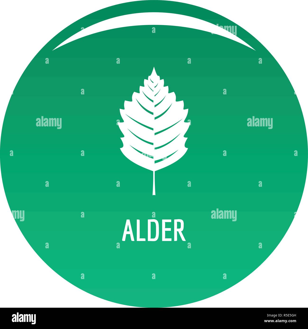Alder leaf icon. Simple illustration of alder leaf vector icon for any ...