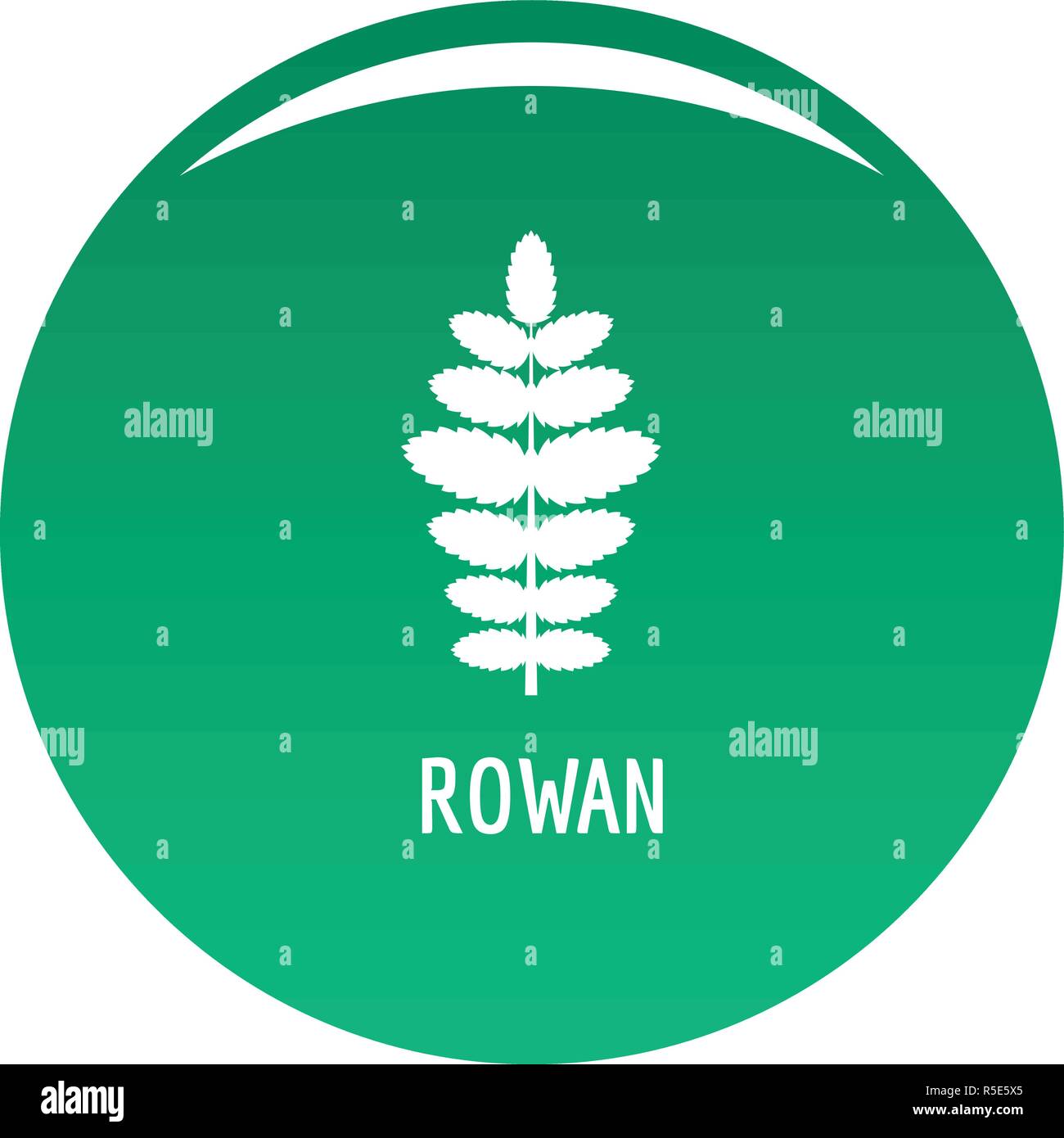 Rowan leaf icon. Simple illustration of rowan leaf vector icon for any ...