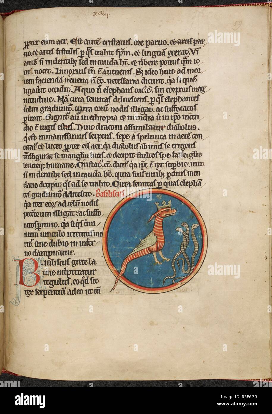 Crown basilisk hi-res stock photography and images - Alamy