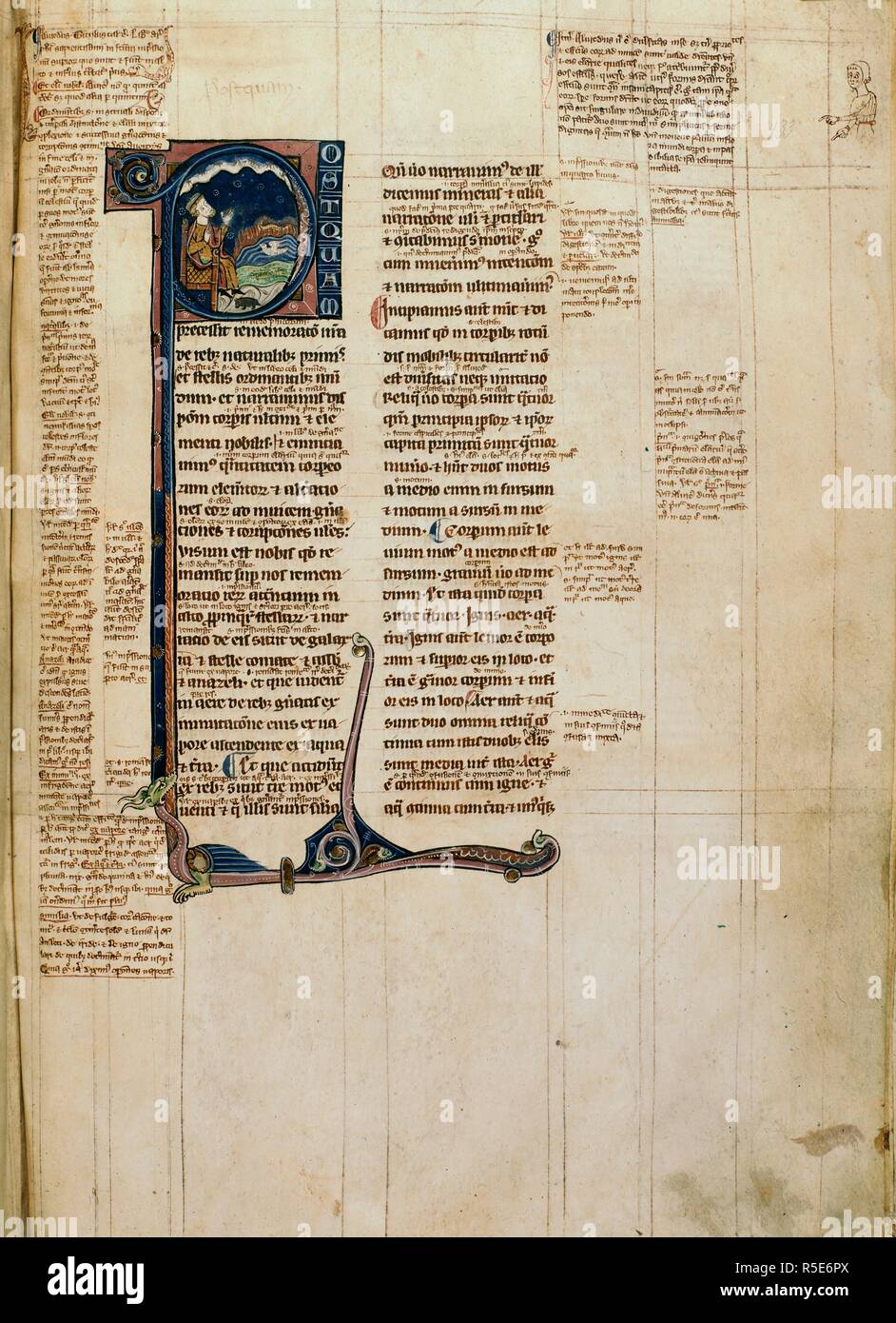 Marginal gloss hi-res stock photography and images - Alamy