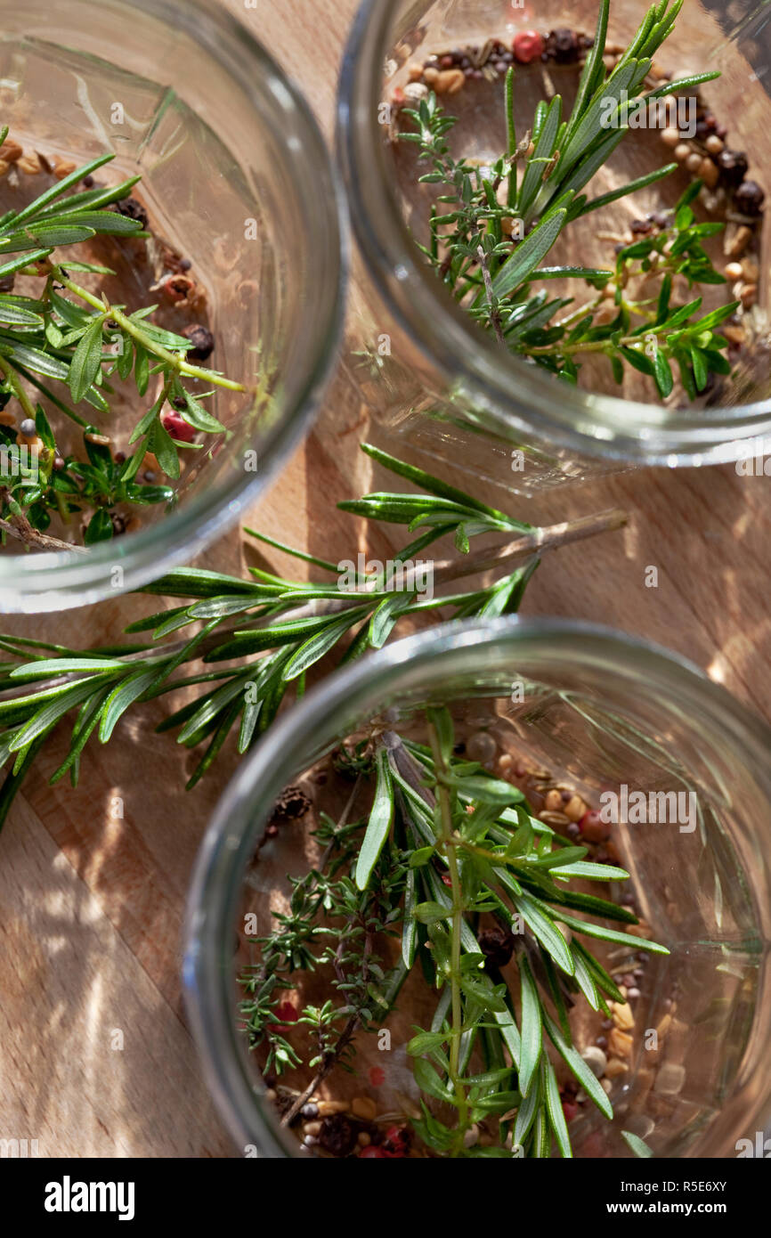 Potting natural ingredients in pots for olive fruits Stock Photo - Alamy