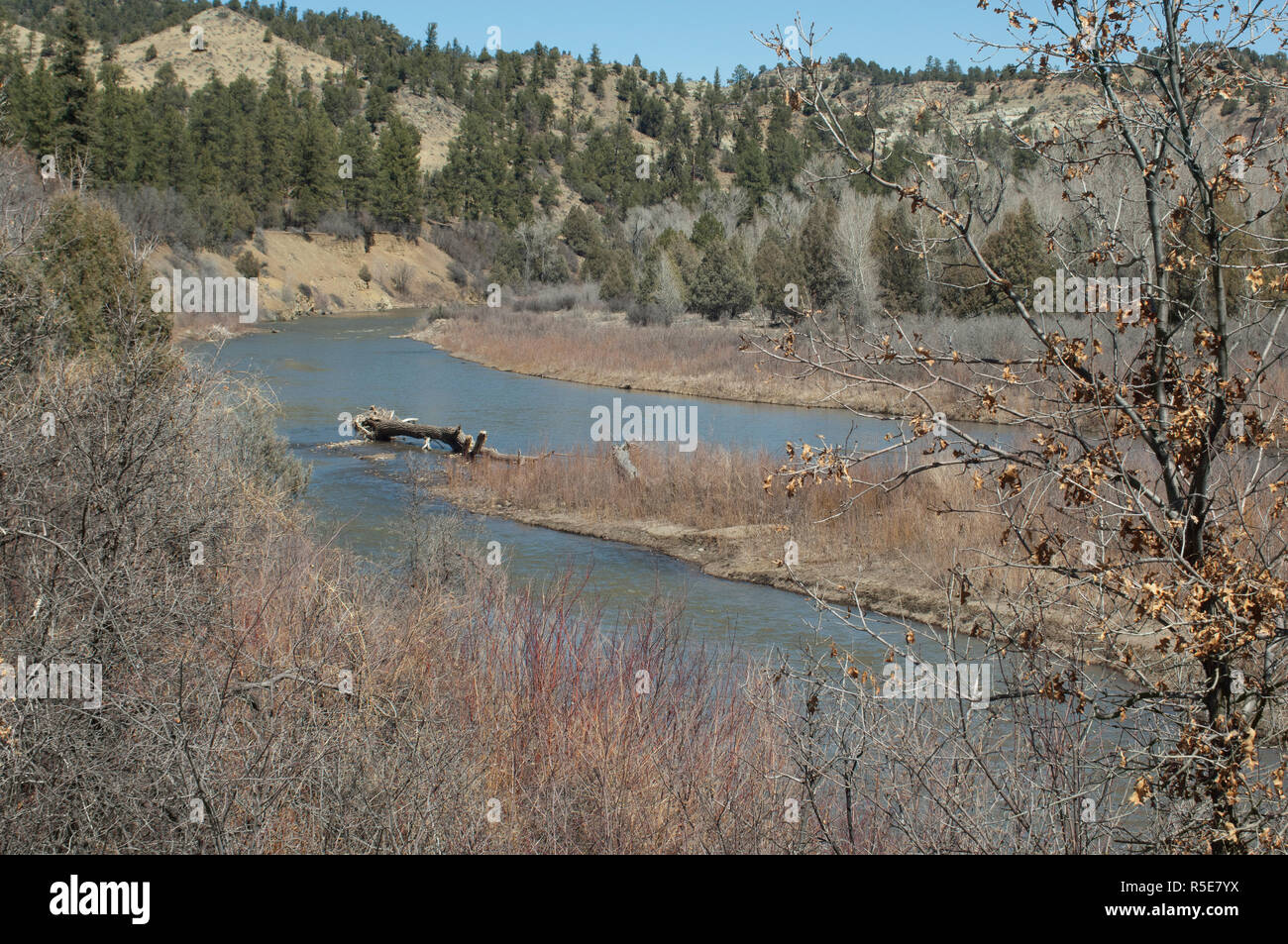 Piedra River, Southern Ute Reservation, Colorado. Digital photograph ...