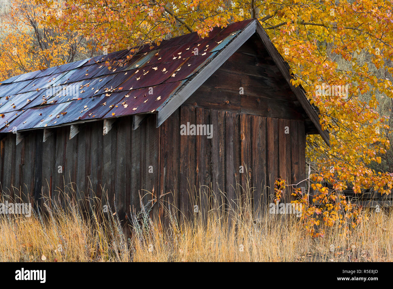 Town of dryden hi-res stock photography and images - Alamy