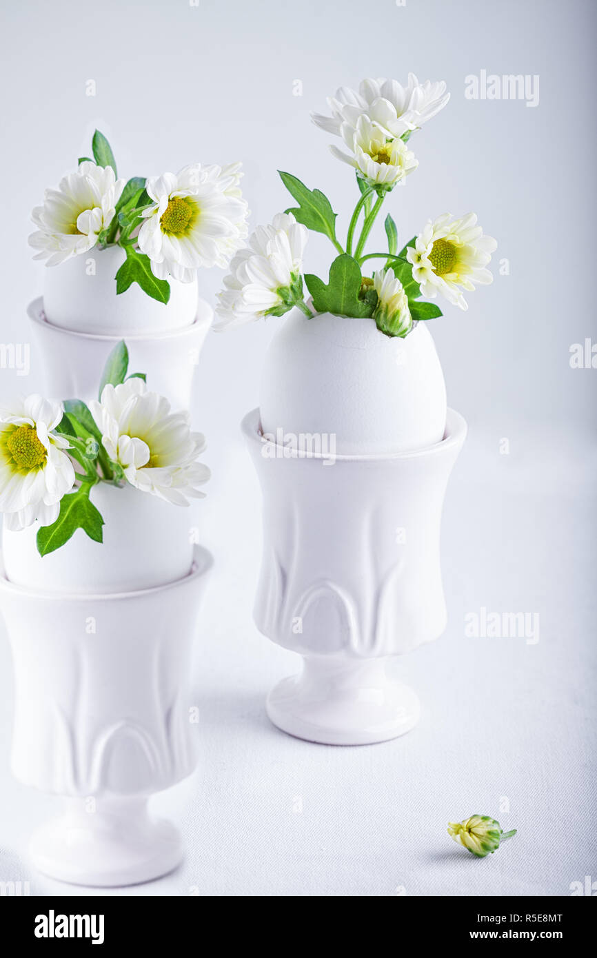 Bunch of white chrysanthemum flowers growing from egg shell Stock Photo ...