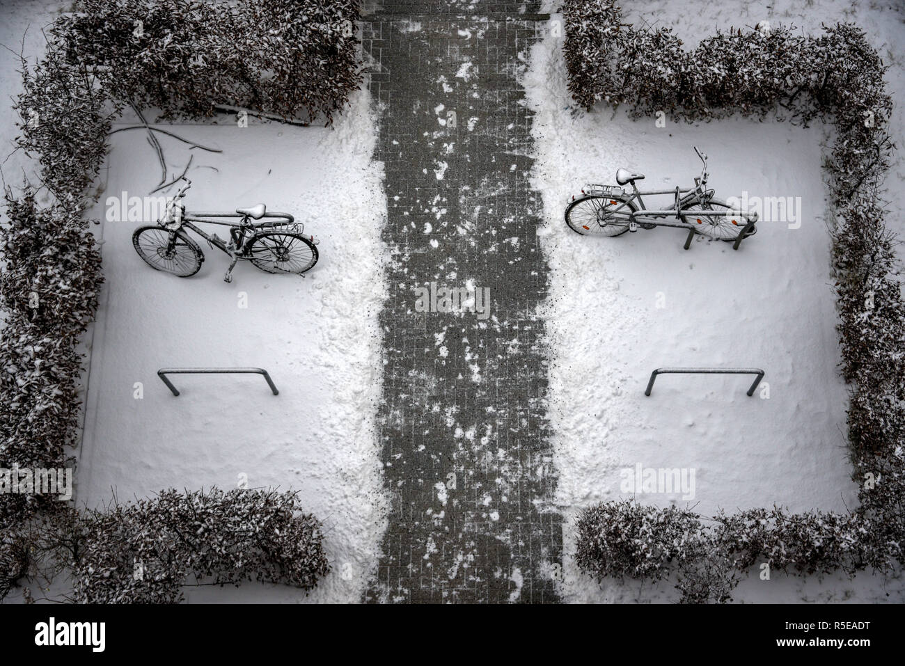 Snow falls during winter in Berlin Stock Photo - Alamy