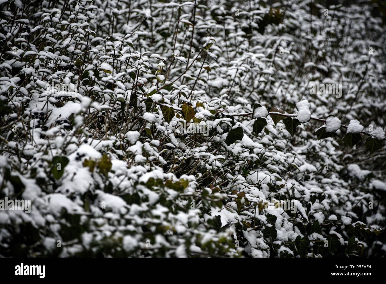Berlin in the snow hi-res stock photography and images - Alamy