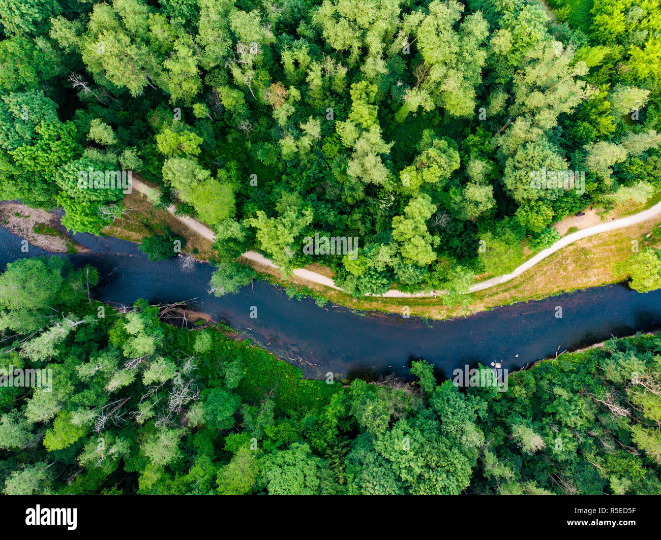 Aerial top down view of summer forest with narrow Vilnele river winding ...