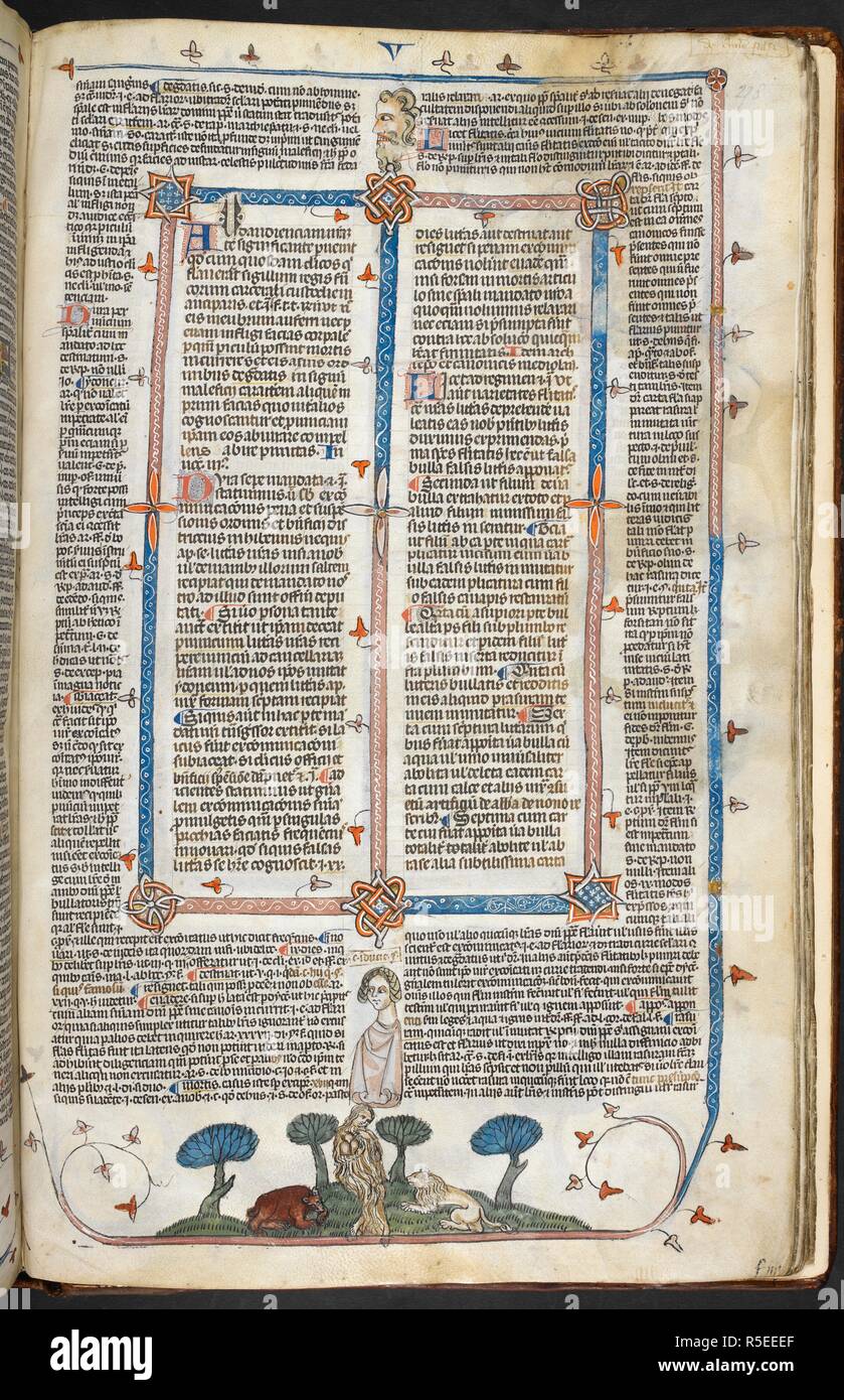 A bas-de-page scene of a hairy Mary of Egypt with a lion and a bear ...