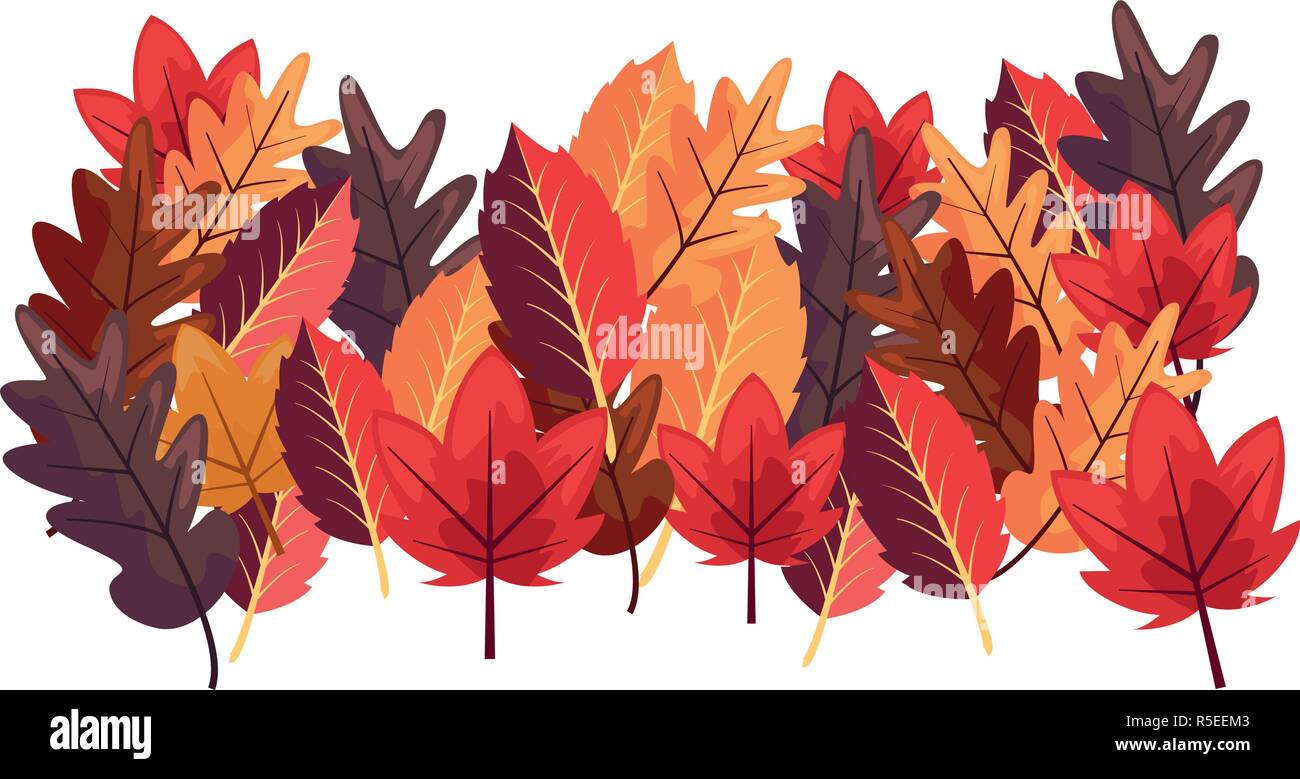 colors leaves decoration white background vector illustration Stock ...