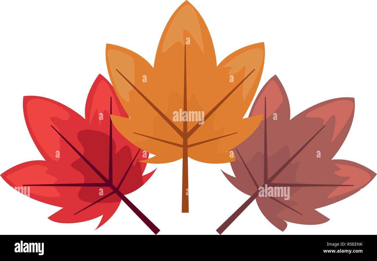 tree leaves color decoration background vector illustration Stock ...