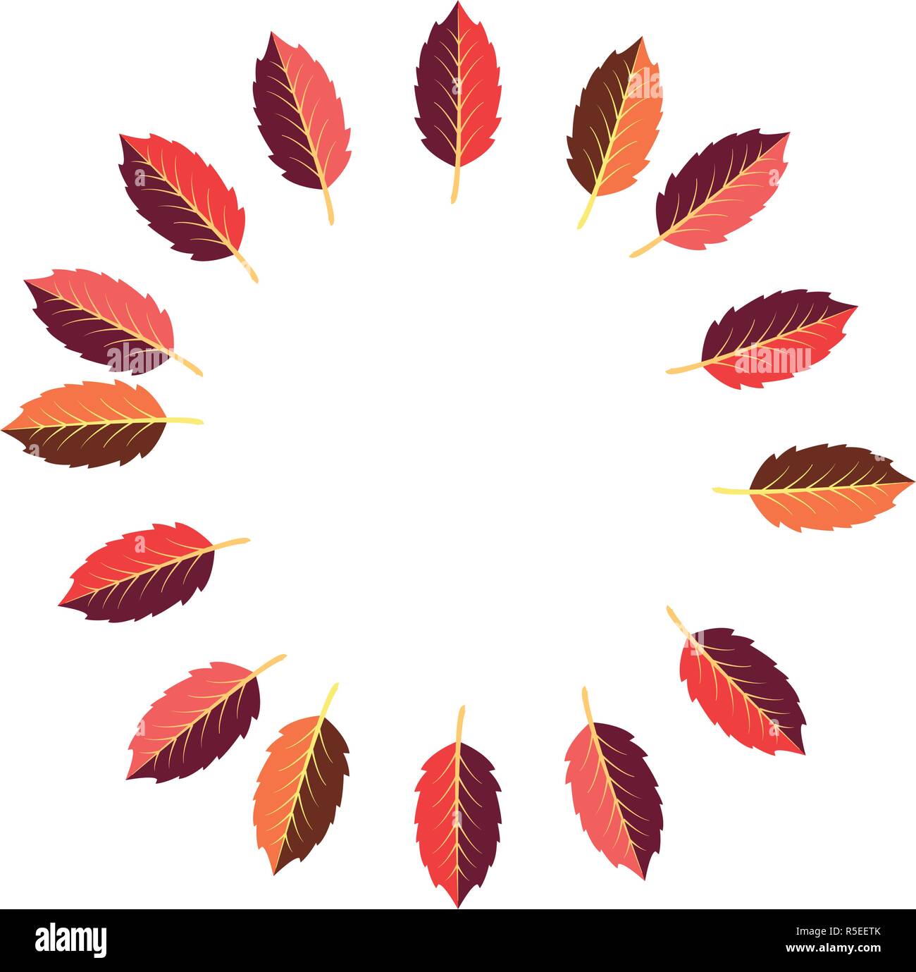 decoration circle types leaves background vector illustration Stock ...