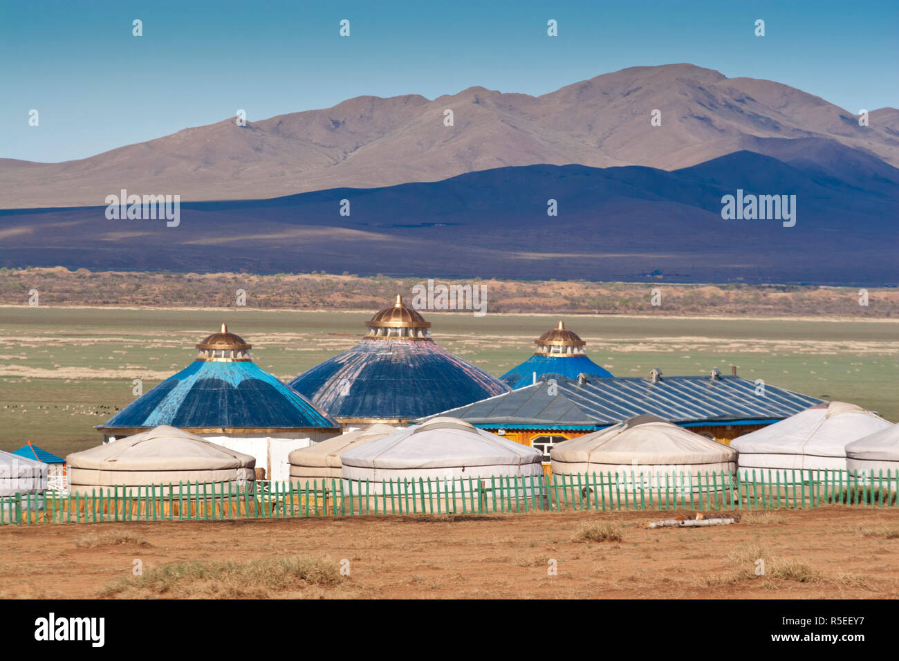 Mongolia, Bayangobi and Ger camp Stock Photo - Alamy