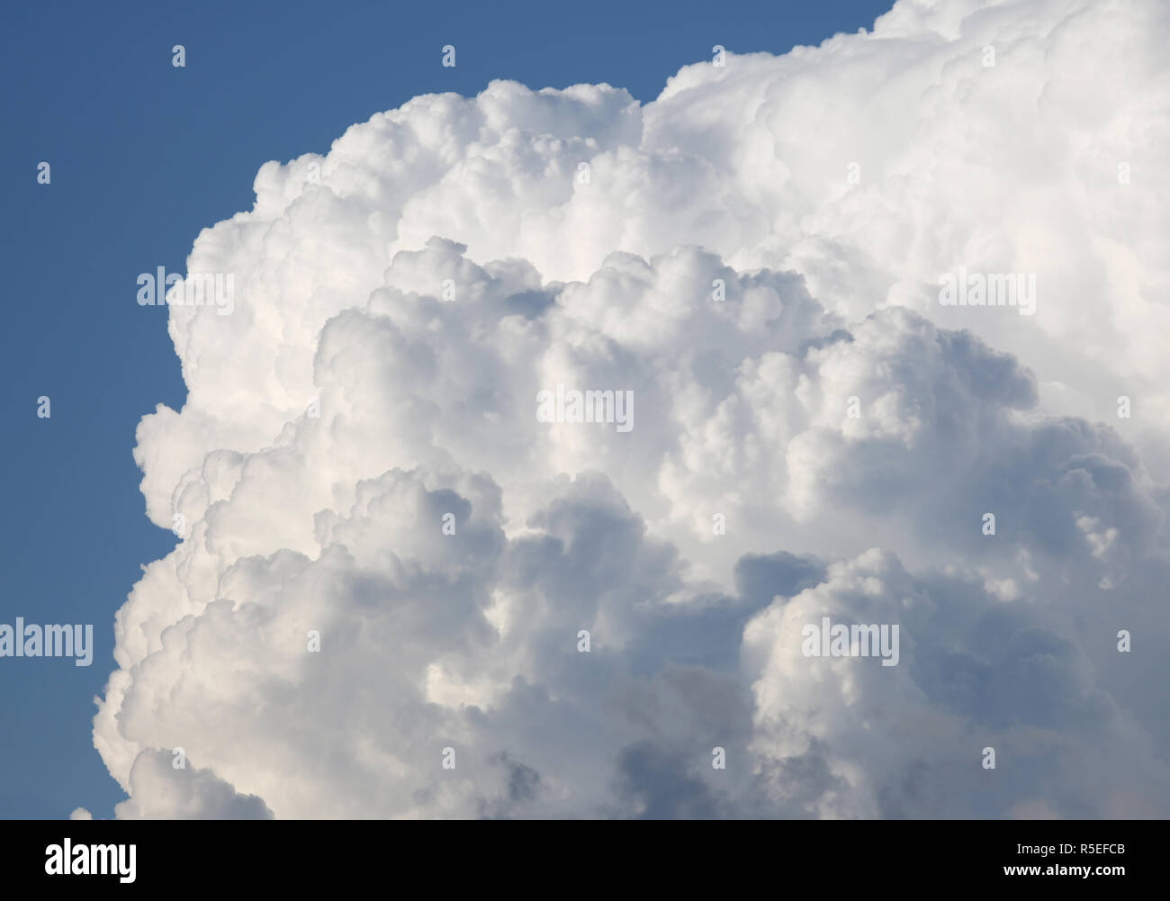 big soft white cumulonimbus cloud in blue sky Stock Photo - Alamy