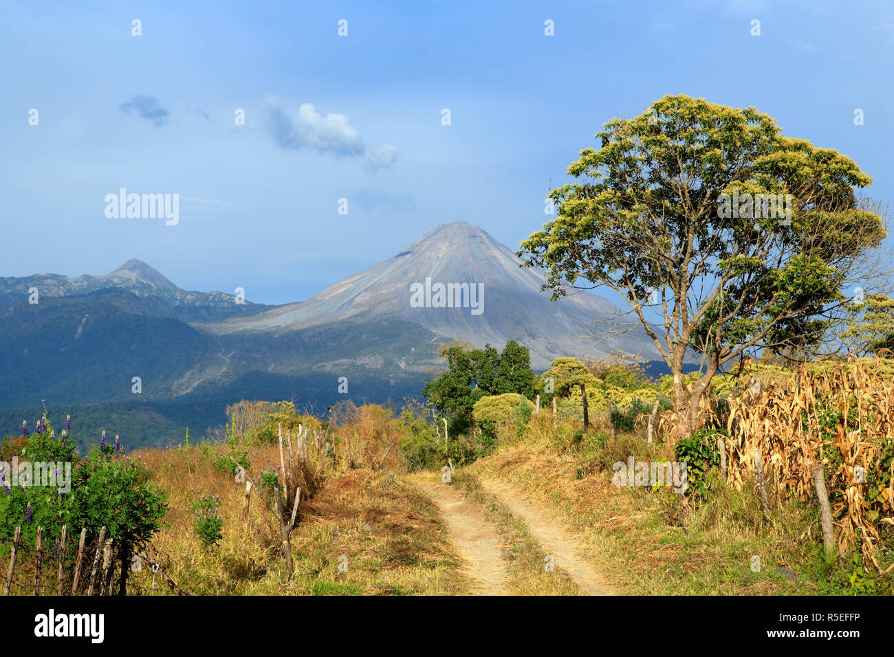 Colima Volcano, Colima, Mexico Stock Photo - Alamy