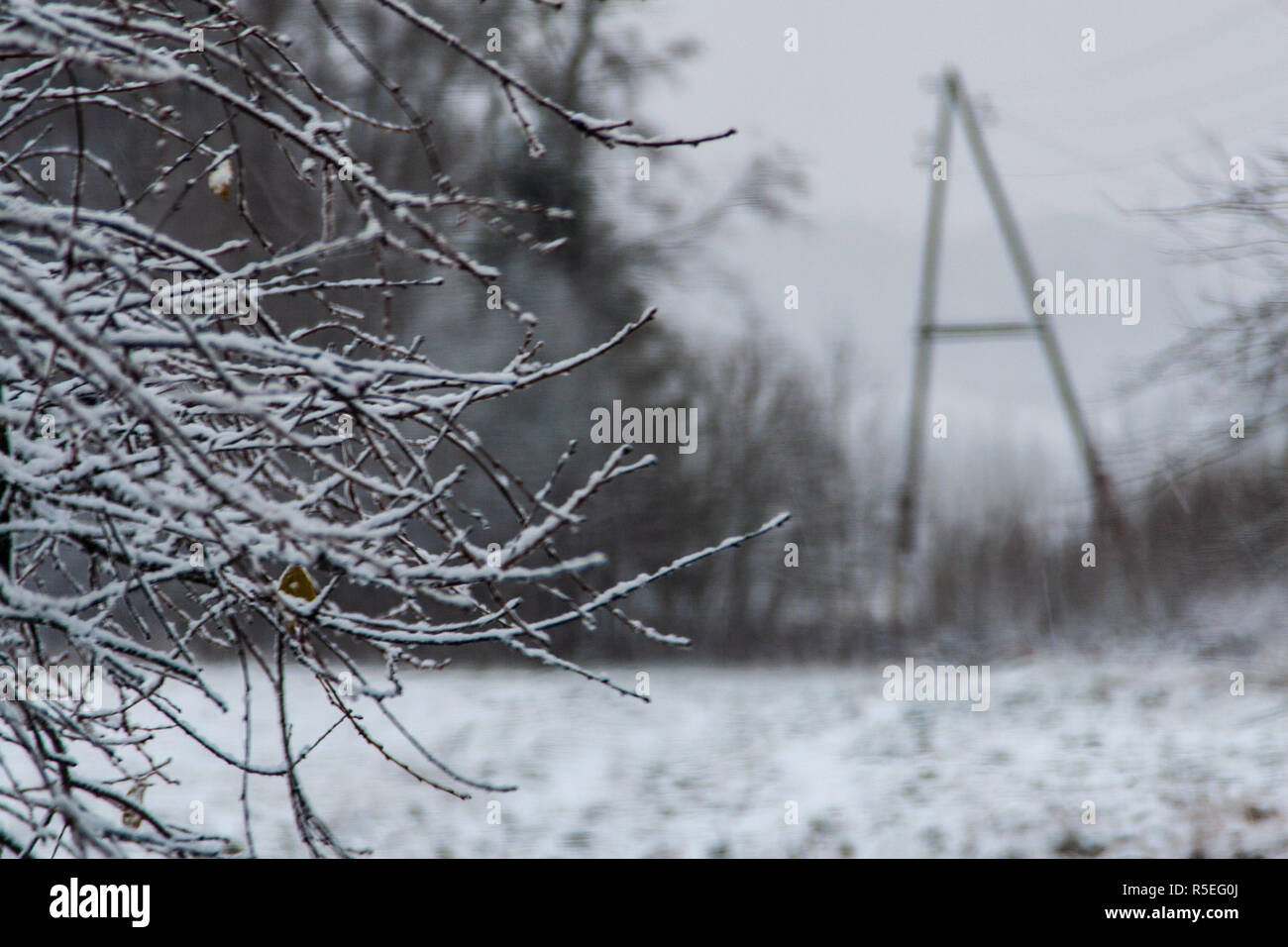 simple countryside landscape in latvia with fields and trees under snow ...