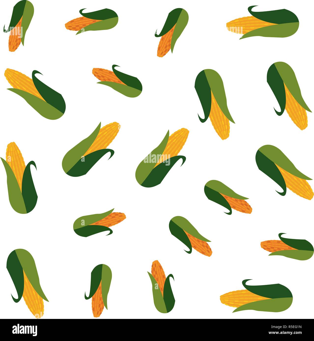 corns cob decoration white background vector illustration Stock Vector ...