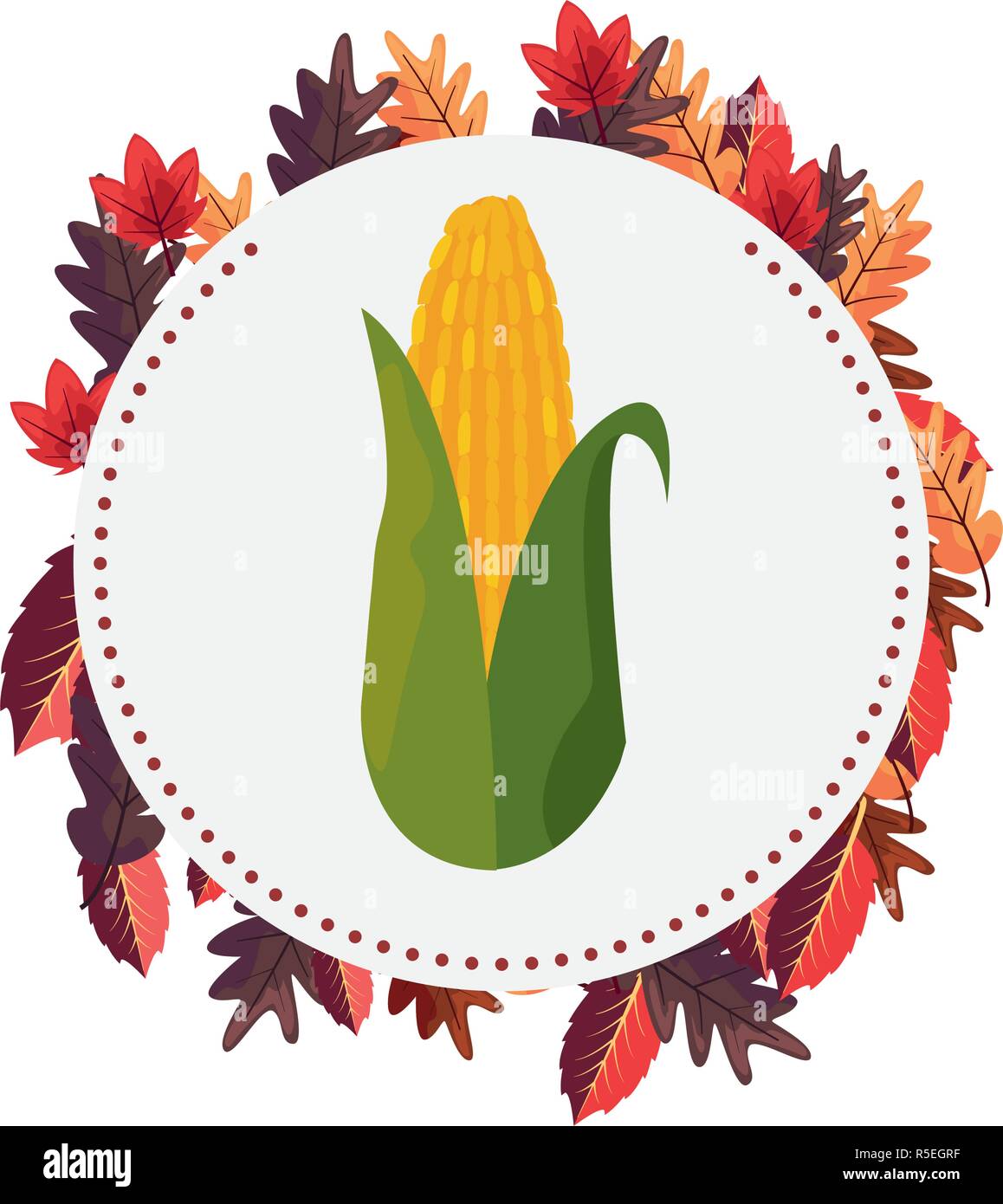 corn cob leaves label sticker vector illustration Stock Vector Image ...