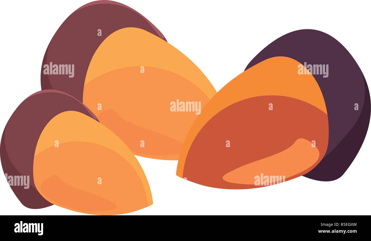 three acorn nuts on white background vector illustration Stock Vector ...