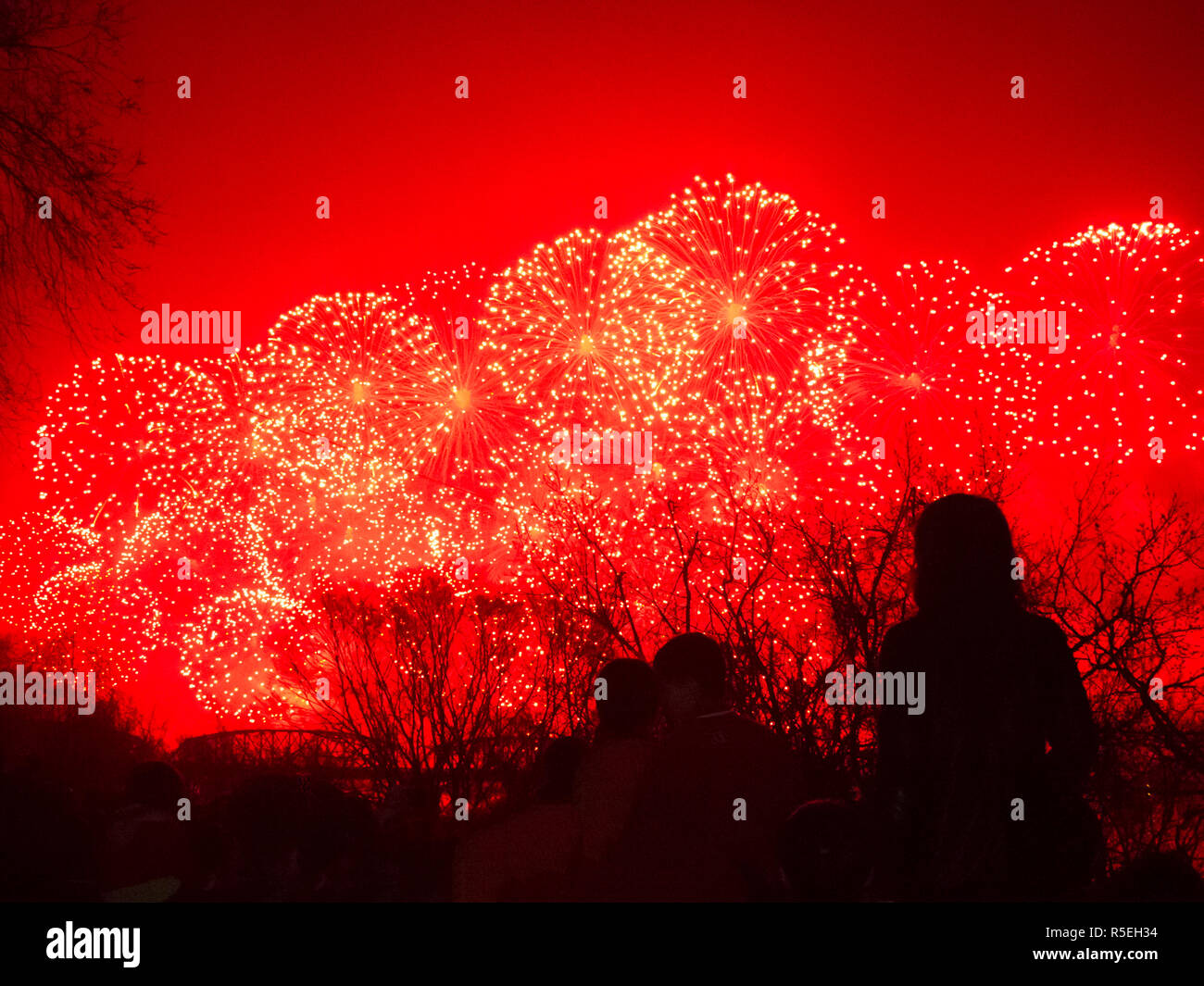 Democratic Peopless Republic Of Korea Dprk North Korea Pyongyang Fireworks To Celebrate