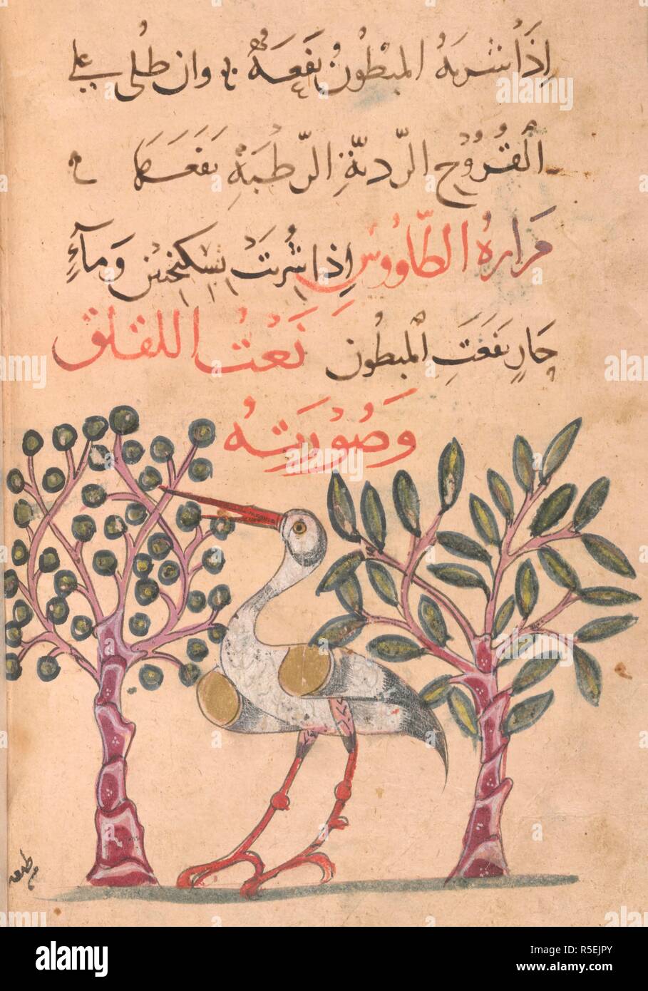 Kitab na't al hayawan hi-res stock photography and images - Alamy