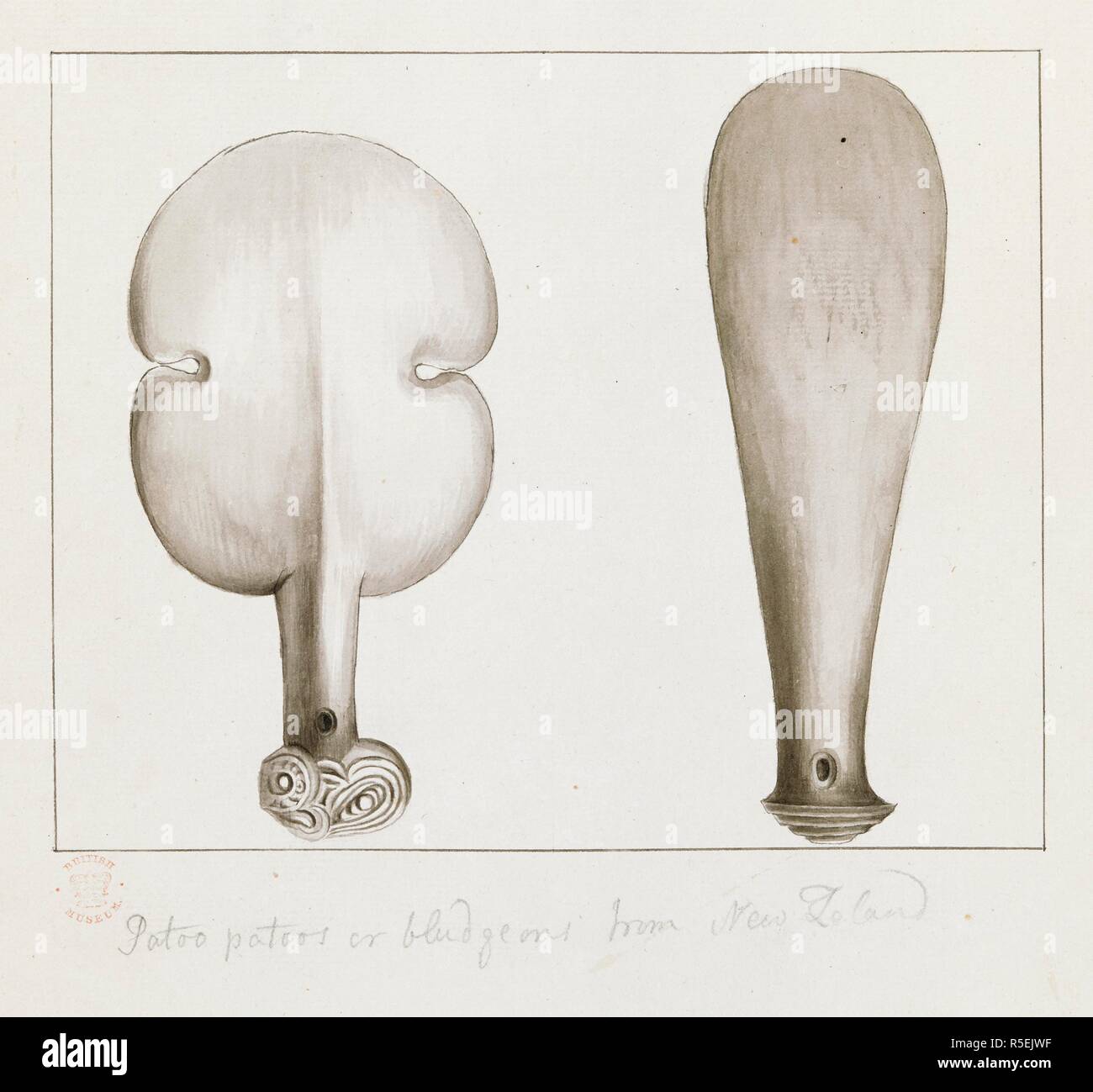 Maori explorer hi-res stock photography and images - Alamy