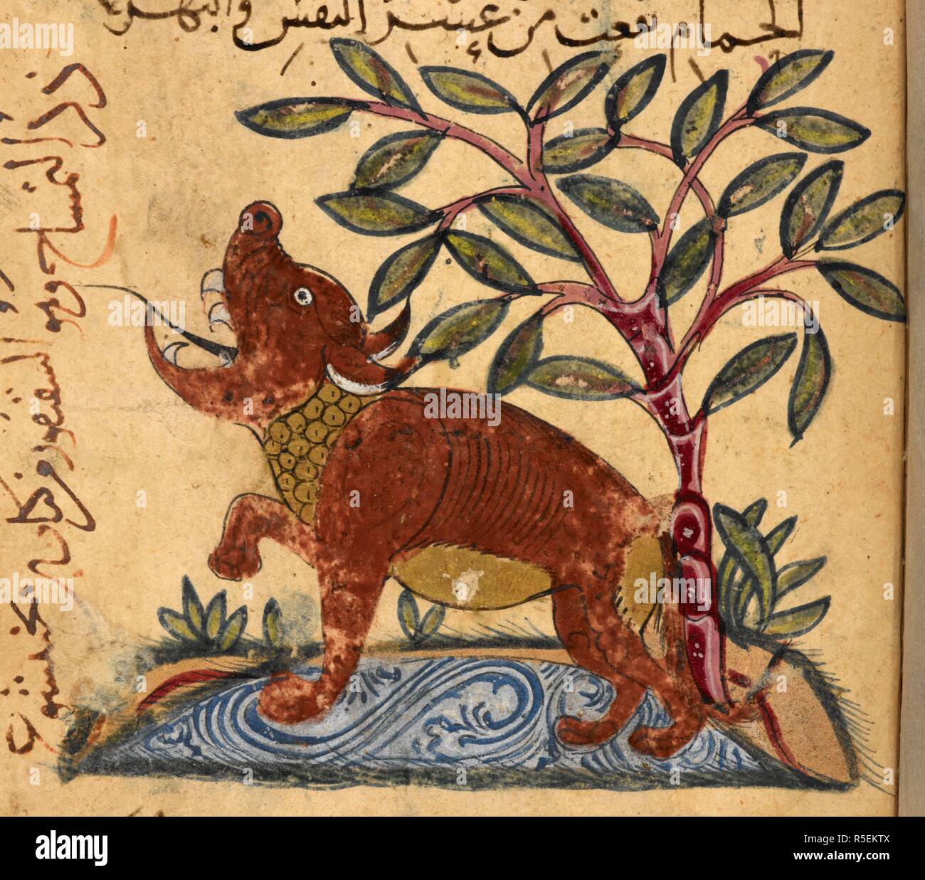 Crocodile/Skink (?). Kitab Na't al-hayawan (book of the characteristics ...