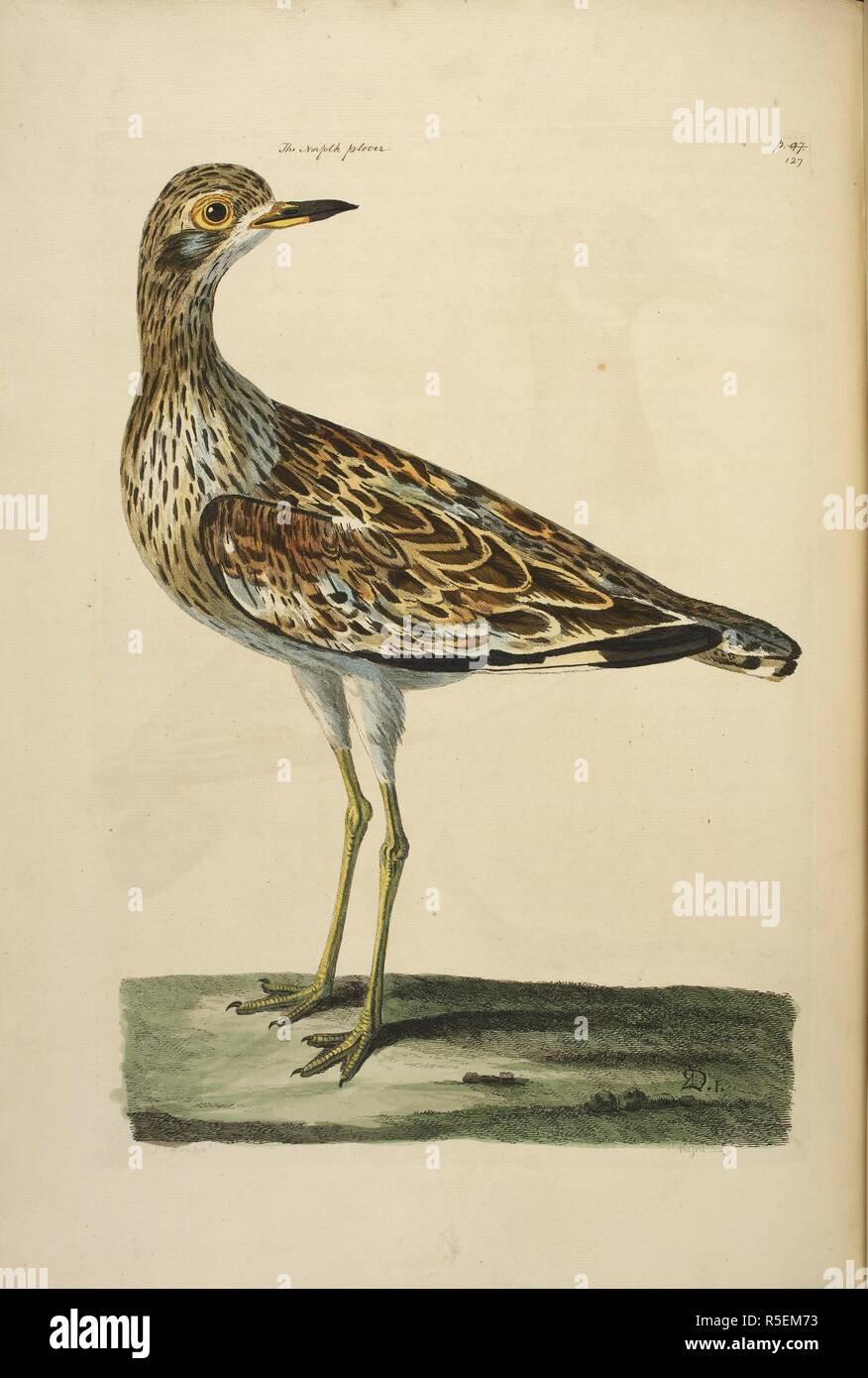 Thomas pennant hi-res stock photography and images - Alamy