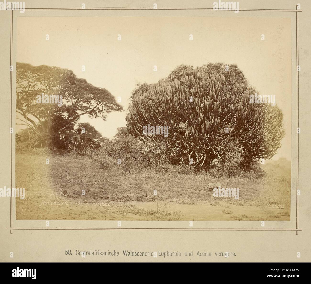 Richard Buchta High Resolution Stock Photography and Images - Alamy