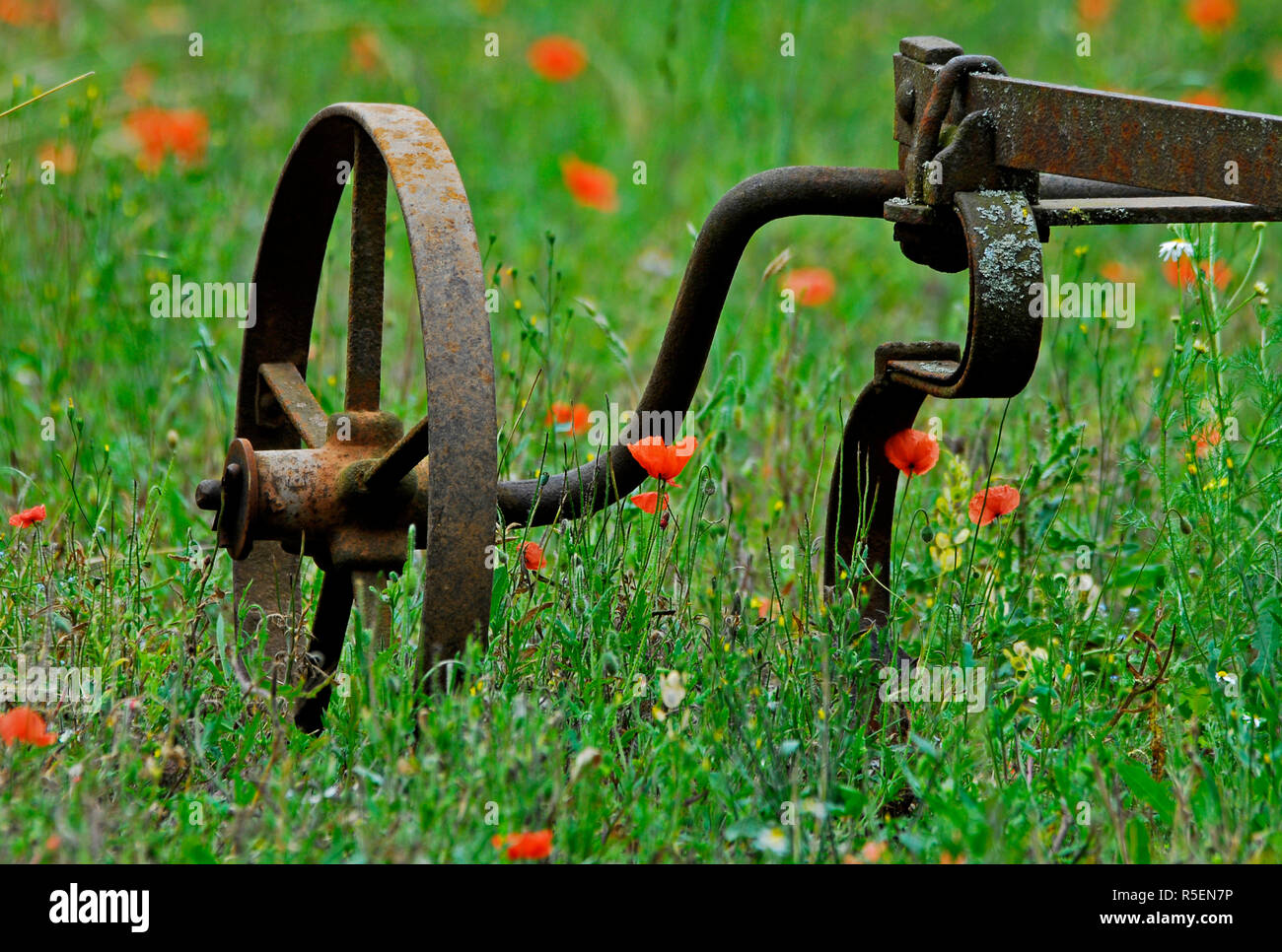 Iron plough hi-res stock photography and images - Alamy