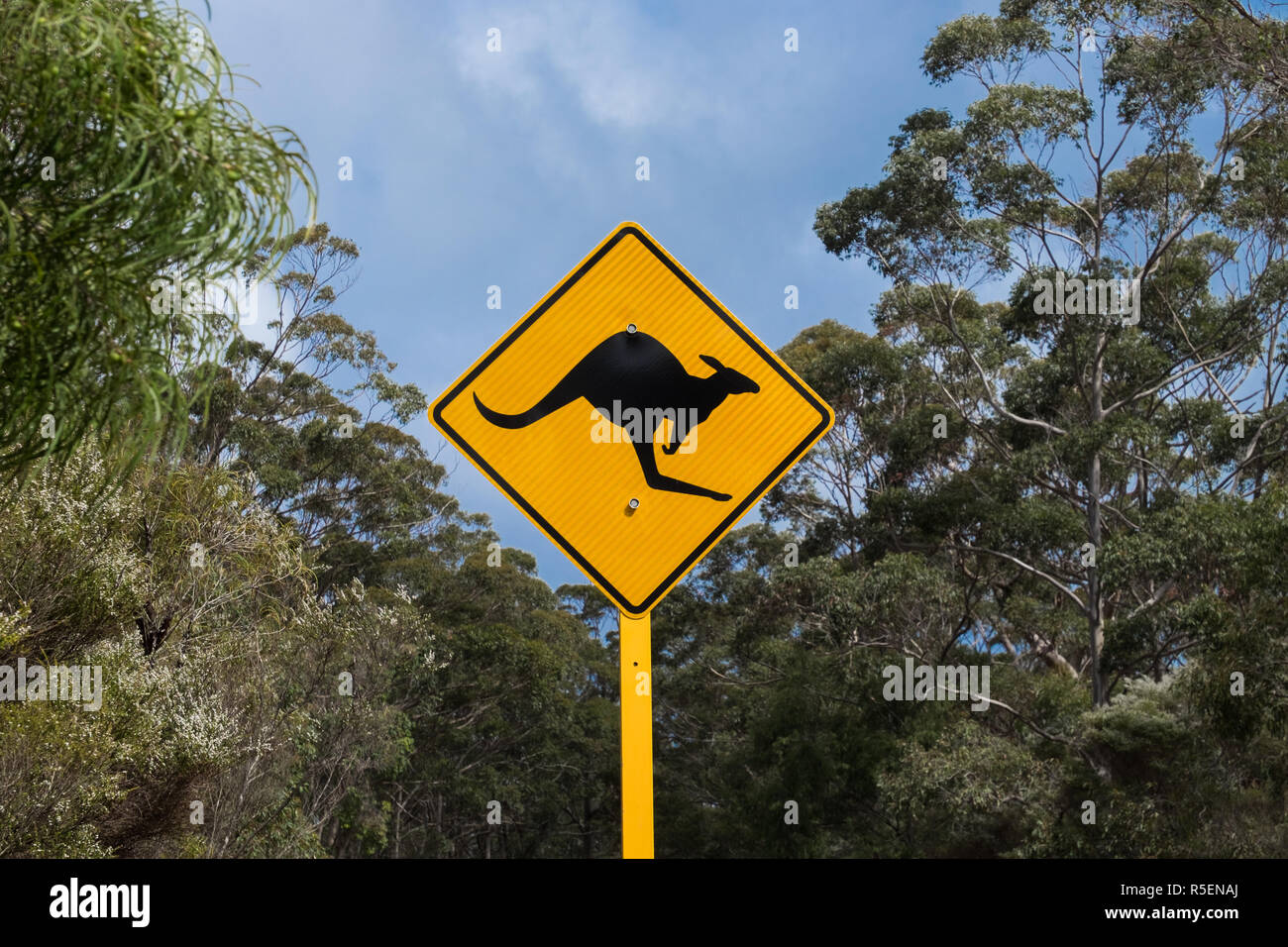 Kangaroo crossing warning sign in rural Western Australia Stock Photo ...