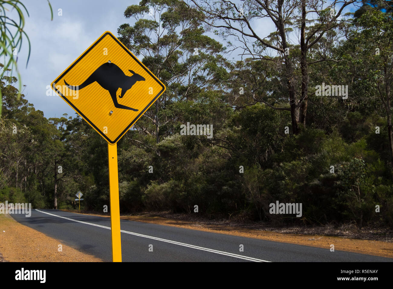 Kangaroo crossing sign hi-res stock photography and images - Alamy