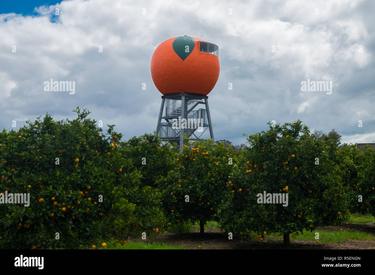 The Big Orange in Harvey, Western Australia. The tower is about three ...