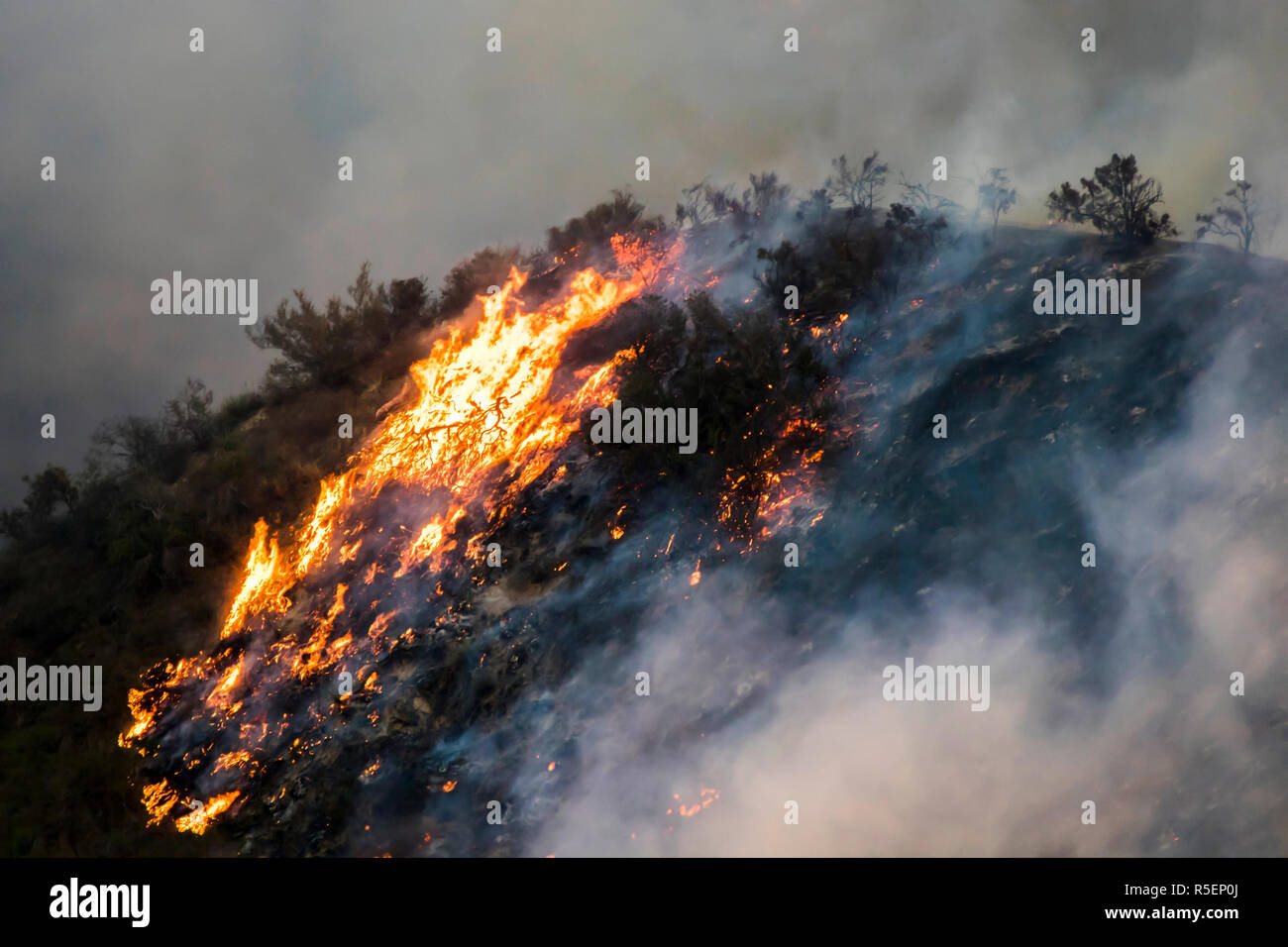 Wildfire flames burn hillside brush at night with dramatic shapes and ...