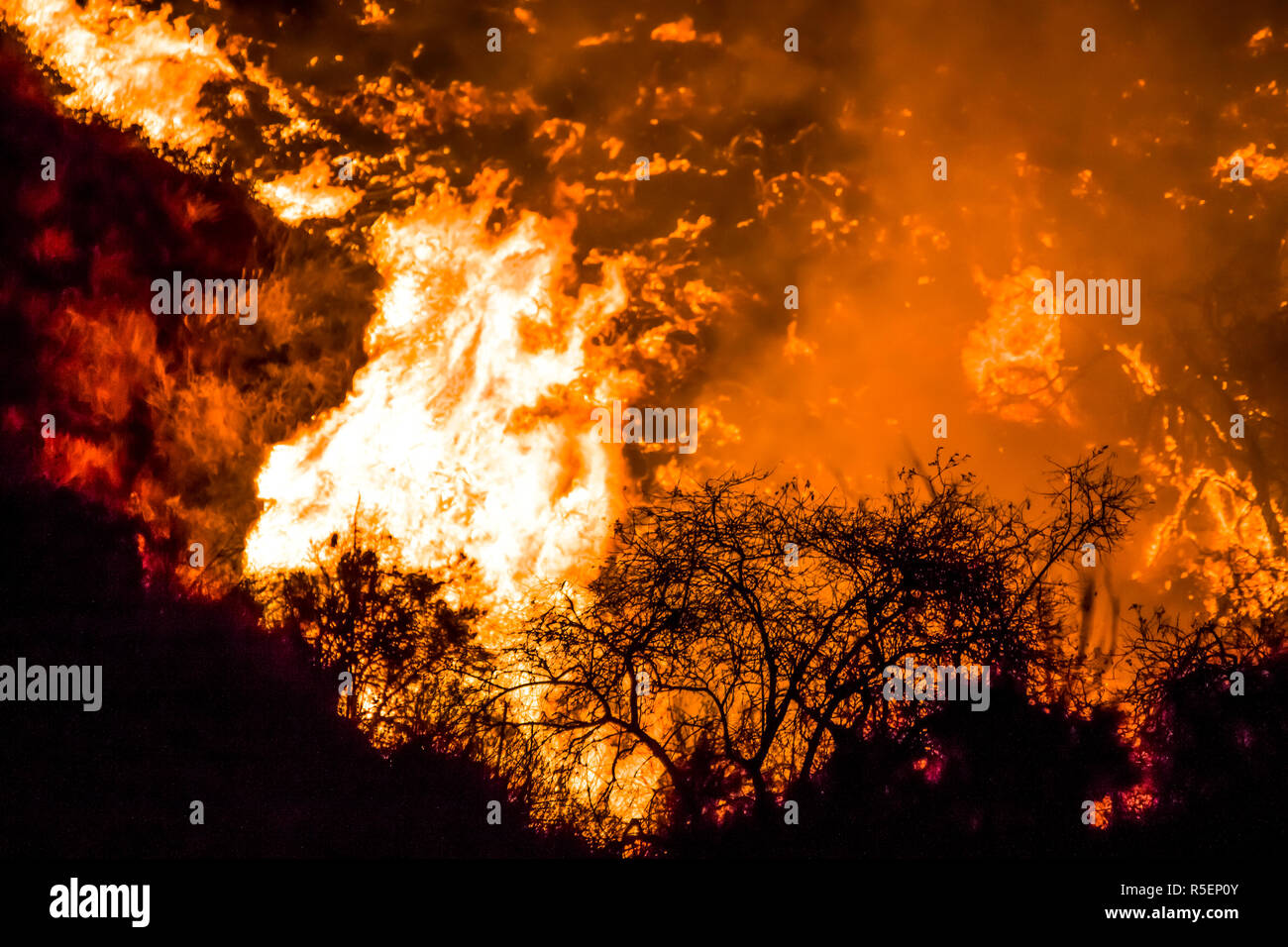 Wildfire flames burn hillside brush at night with dramatic shapes and ...