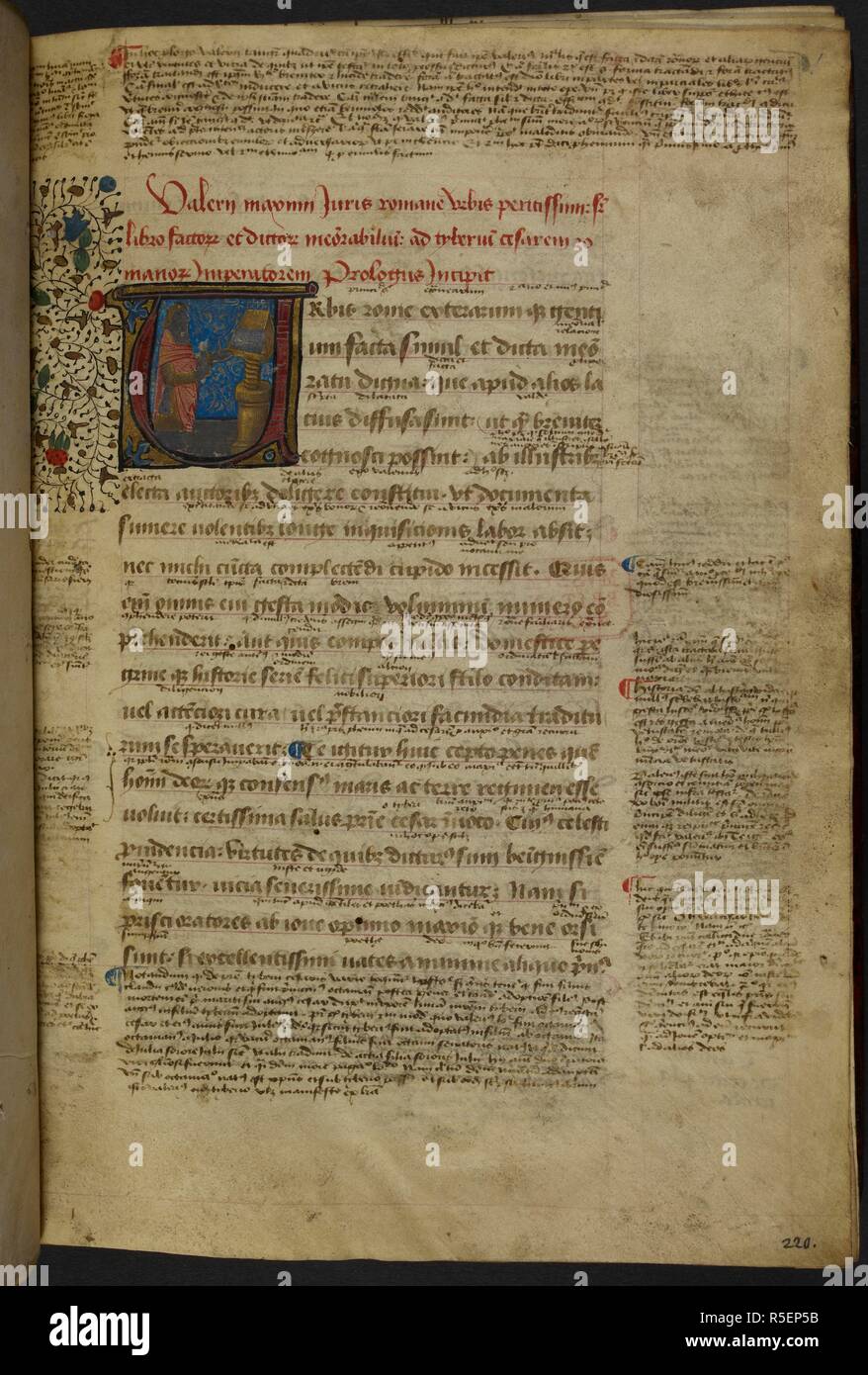 Marginal gloss hi-res stock photography and images - Alamy