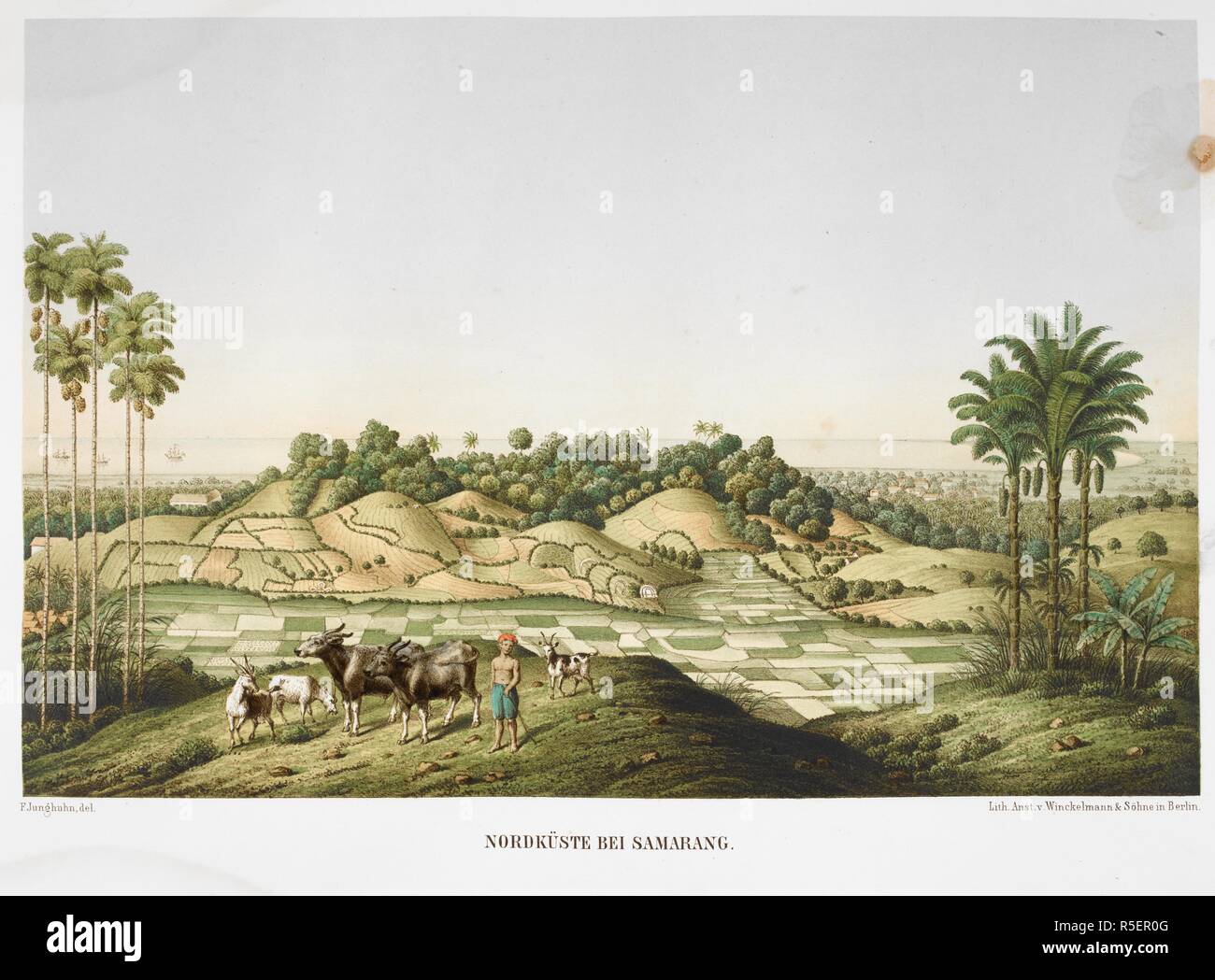 Samarang (Semarang). A coastal region. A native farmer can be seen with ...