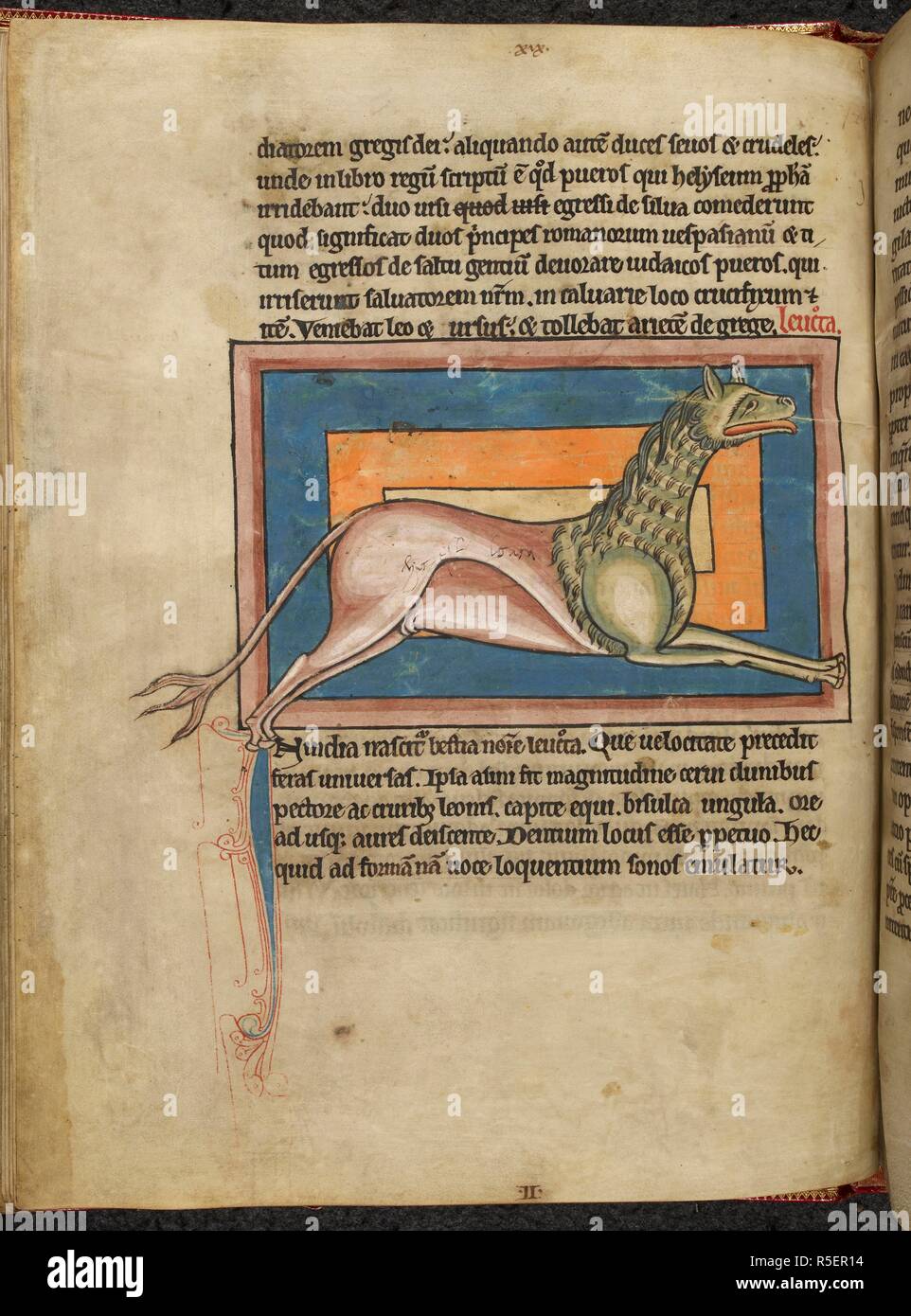 Long neck tail hi-res stock photography and images - Alamy