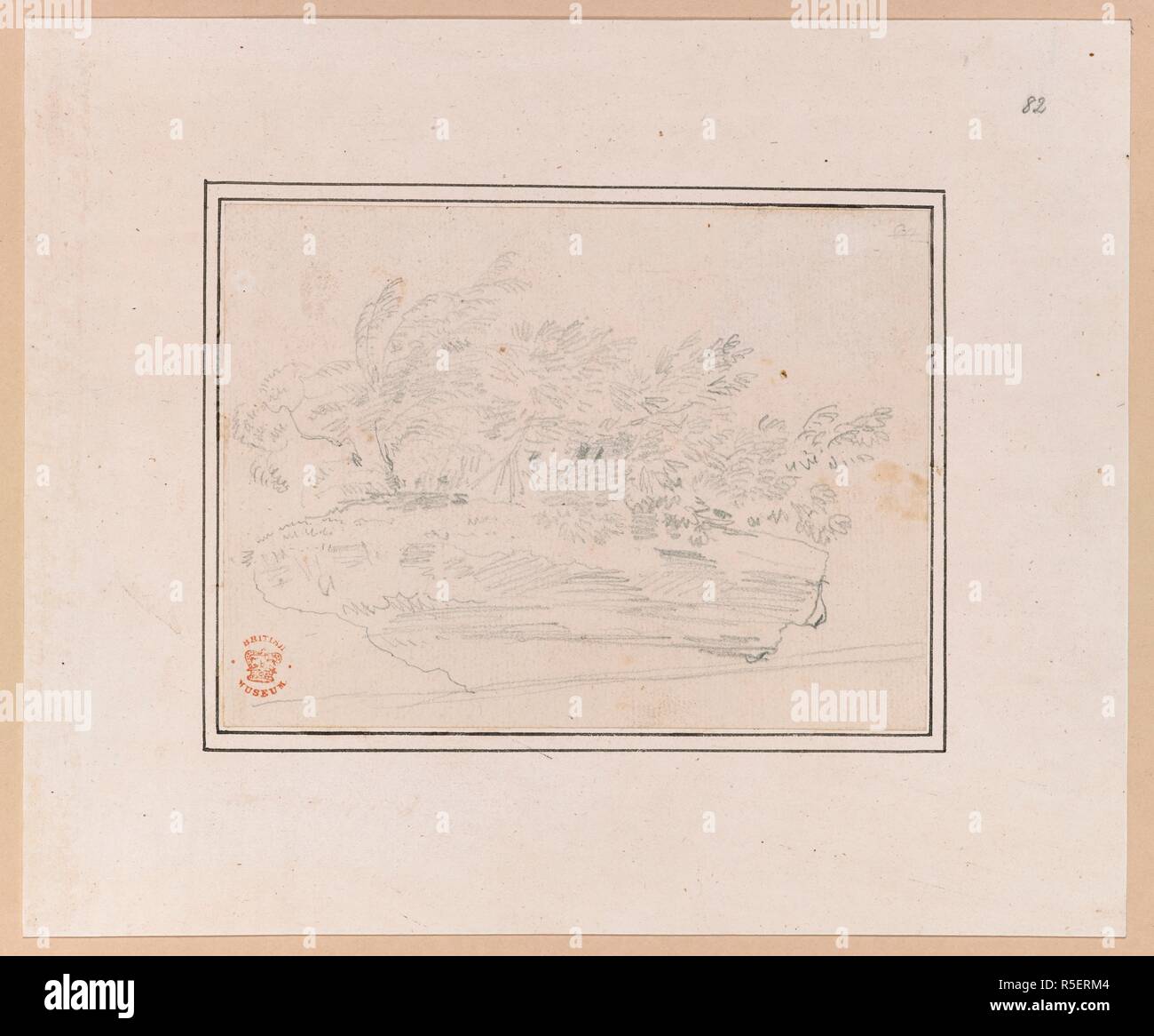 Trees. Sketches and coloured drawings made by J. Webber, during Captain ...