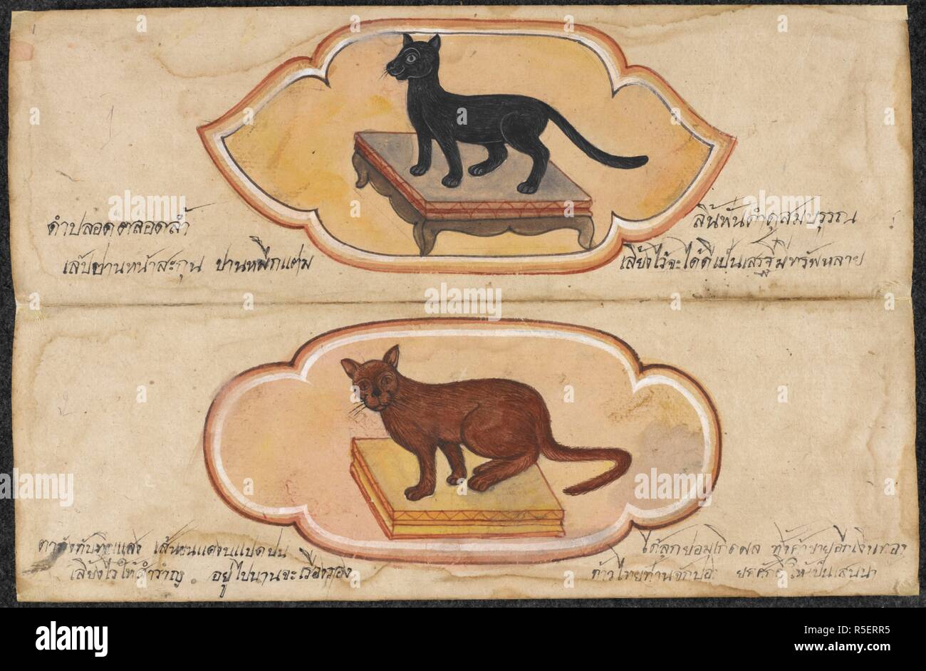 Two cats. . [unamed 19th century manuscript from the central region of ...