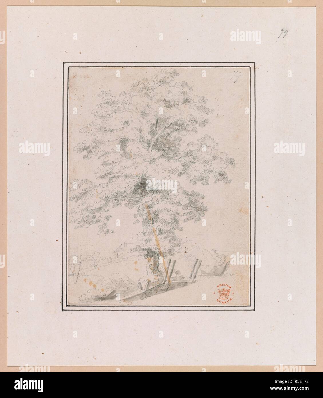 A tree. Sketches and coloured drawings made by J. Webber, during ...