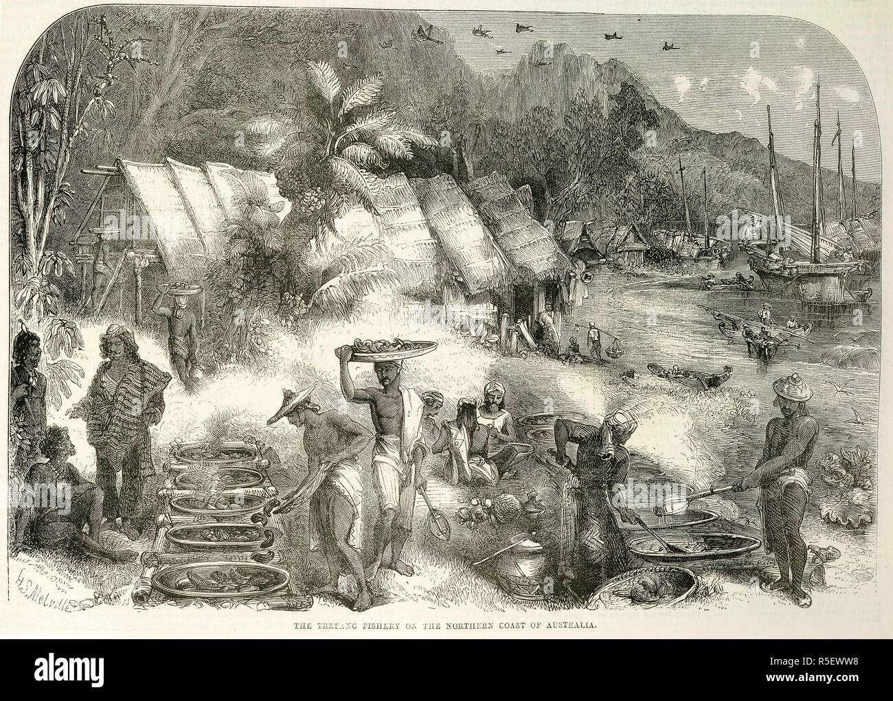 The Trepang (Aboriginal people) fishery on the northern coast of ...