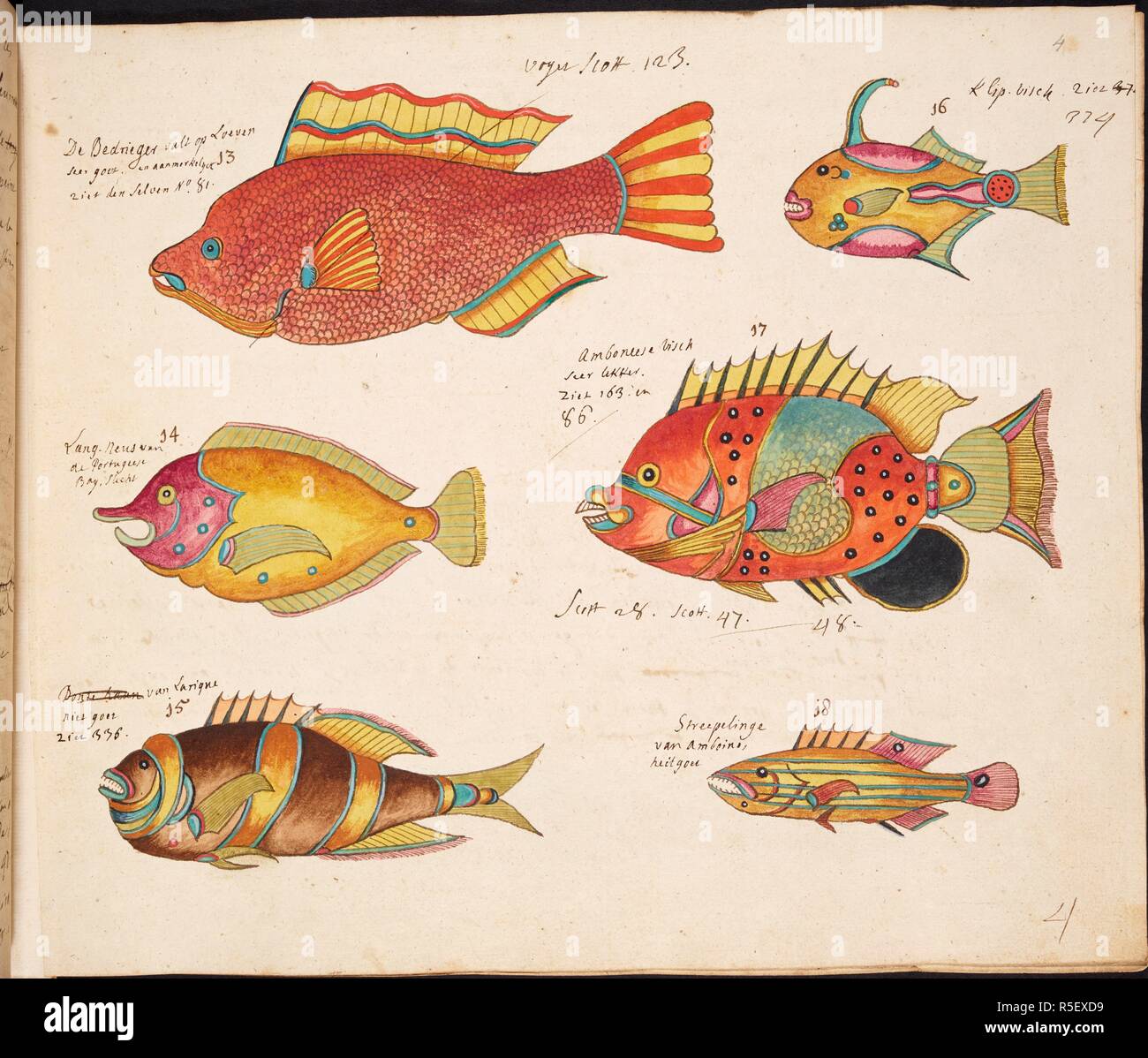 Louis renard hi-res stock photography and images - Alamy