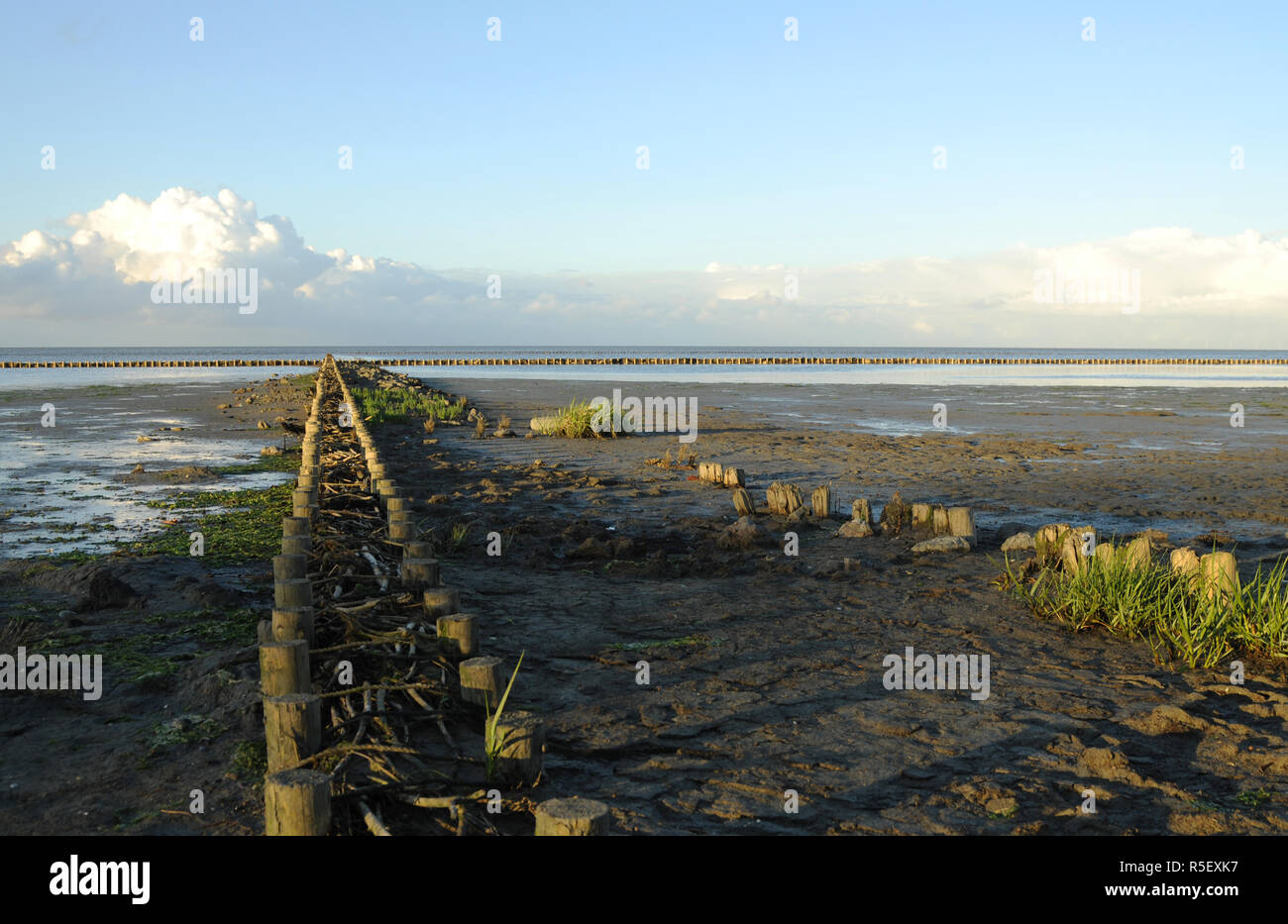 Kribben hi-res stock photography and images - Alamy