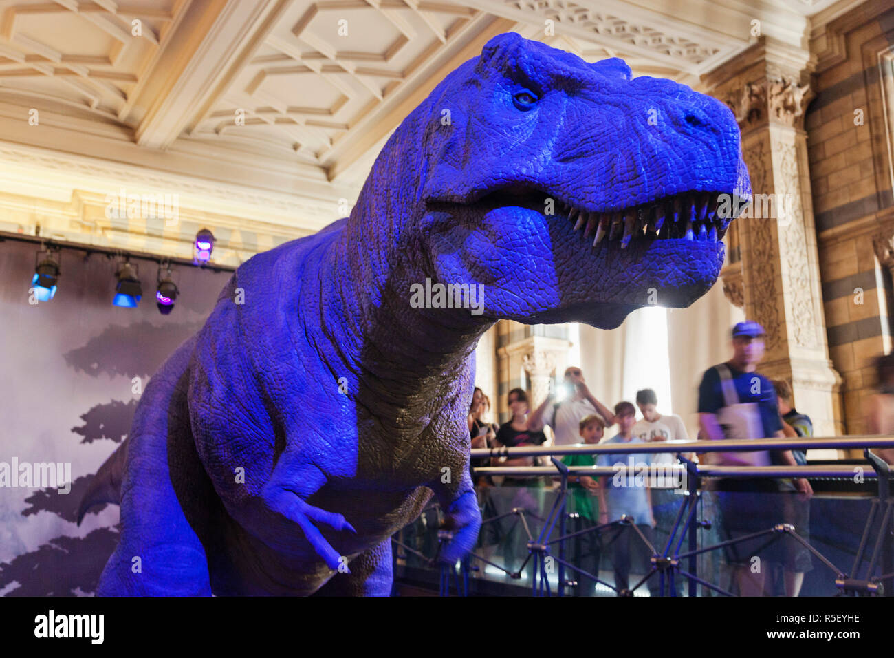 England, London, Kensington, Natural History Museum, T-Rex Dinosaur ...
