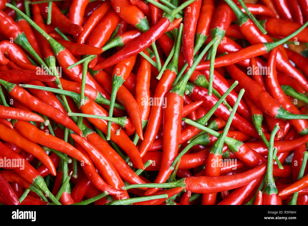 Red peppers plan view hi-res stock photography and images - Alamy