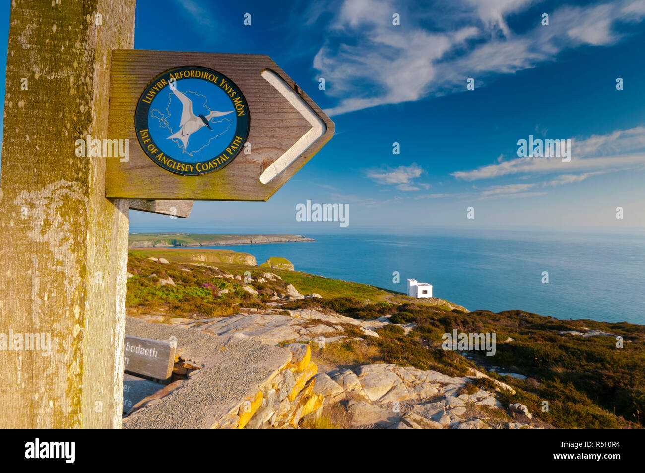 UK, Wales, Anglesey, Holy Island, near South Stack Lighthouse, Isle of ...
